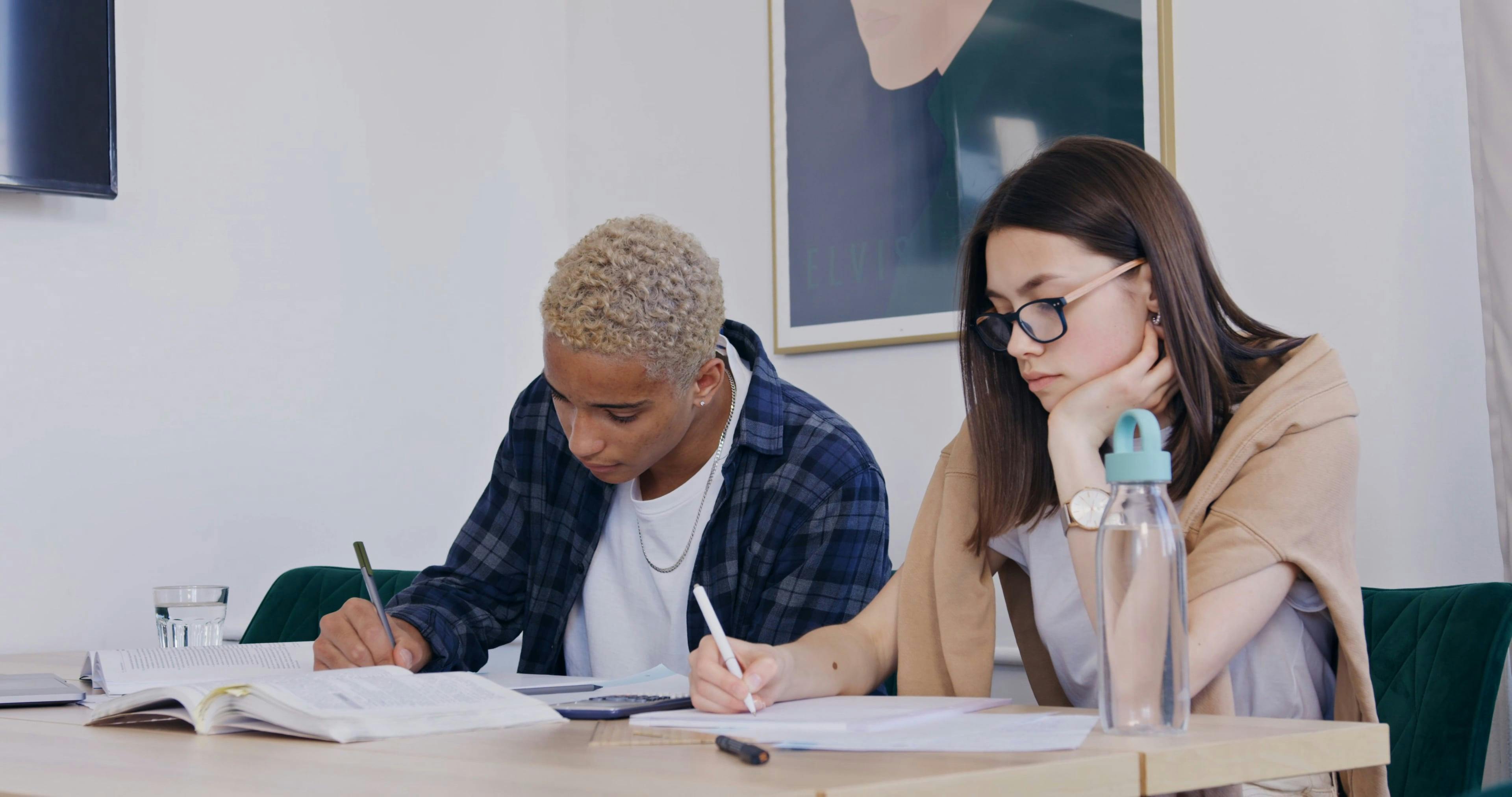 Two Teenage Students Doing Homework at Home Free Stock Video Footage ...