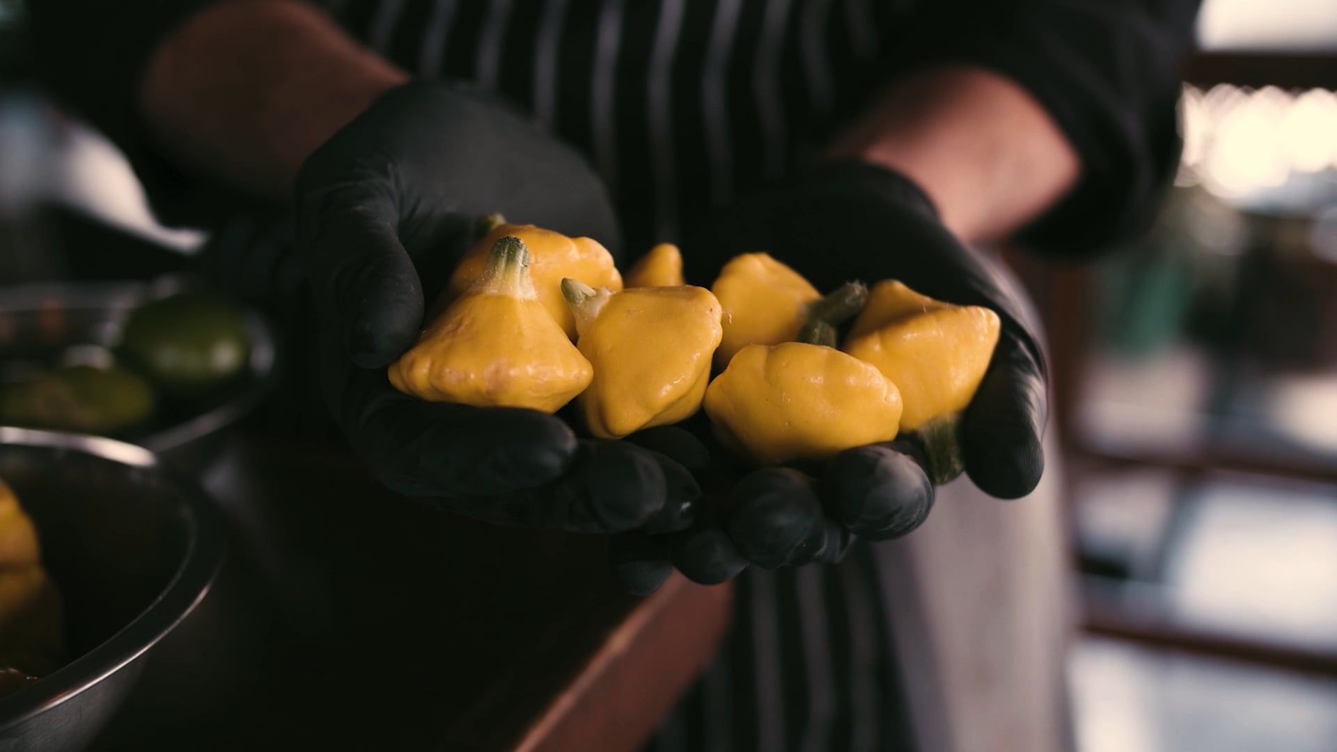 Pattypan Kerata Videos, Download The BEST Free 4k Stock Video Footage ...