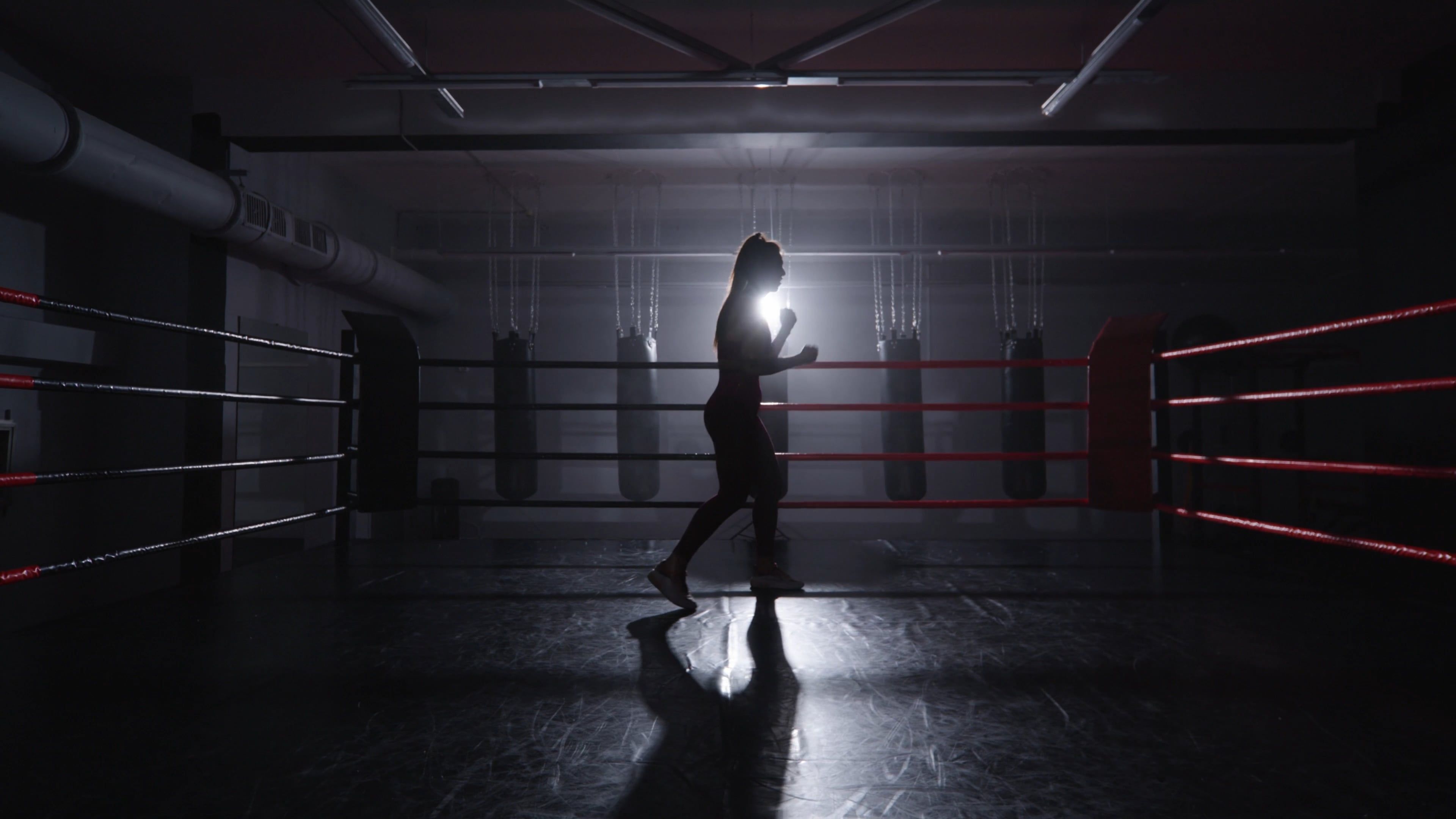 Vidéo gratuite de actif, arts martiaux, athlète, bodybuilding, boxe ...