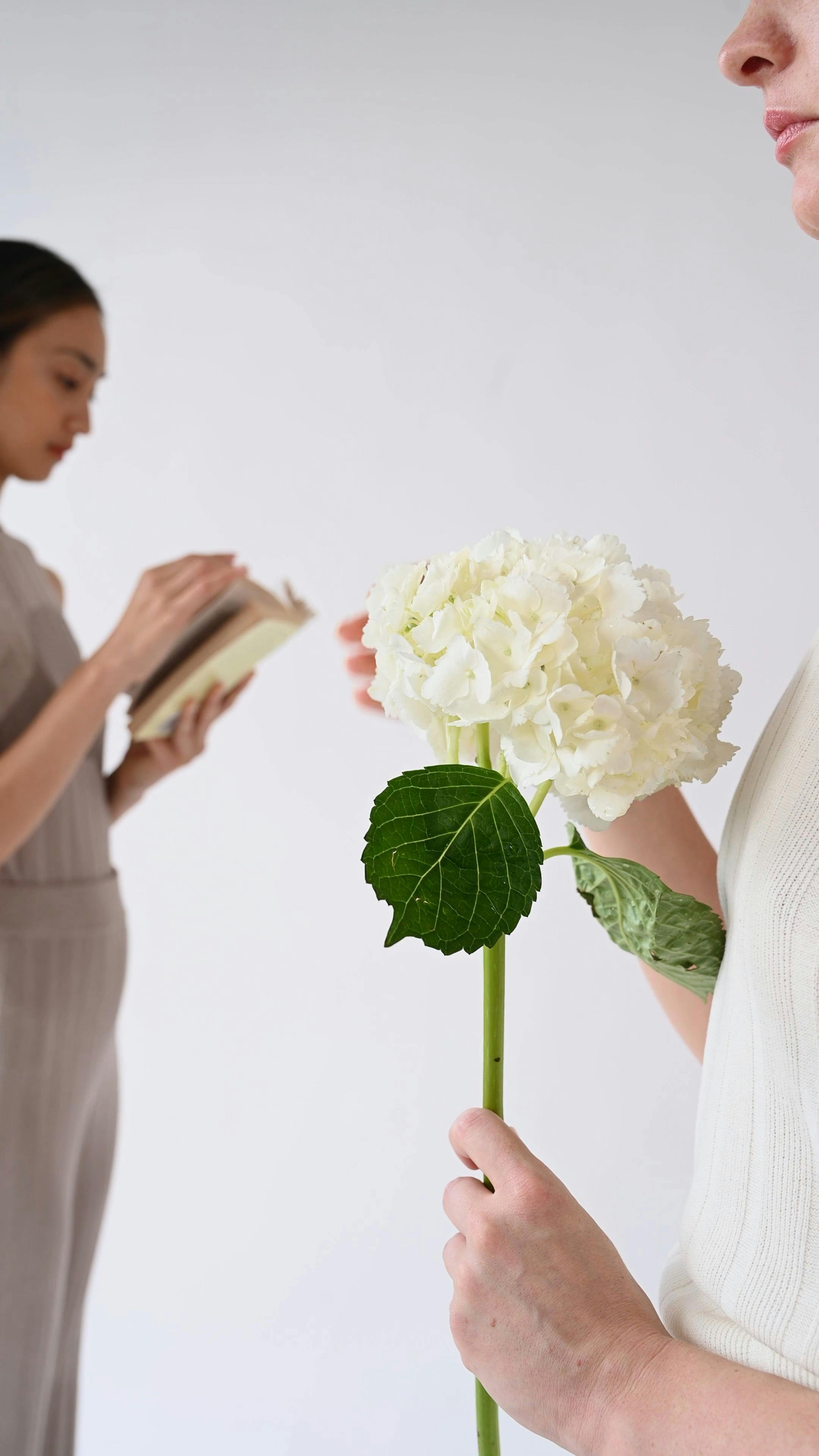 Bookreader Videos, Download The BEST Free 4k Stock Video Footage & Bookreader HD Video Clips