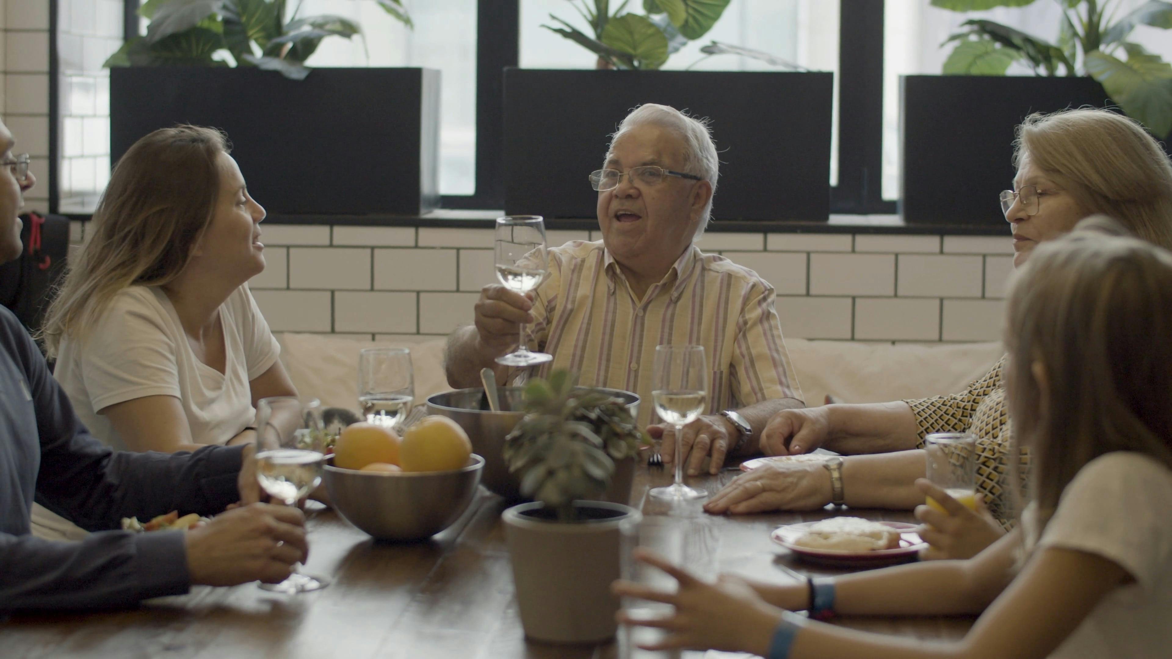 People Having a Toast · Free Stock Video