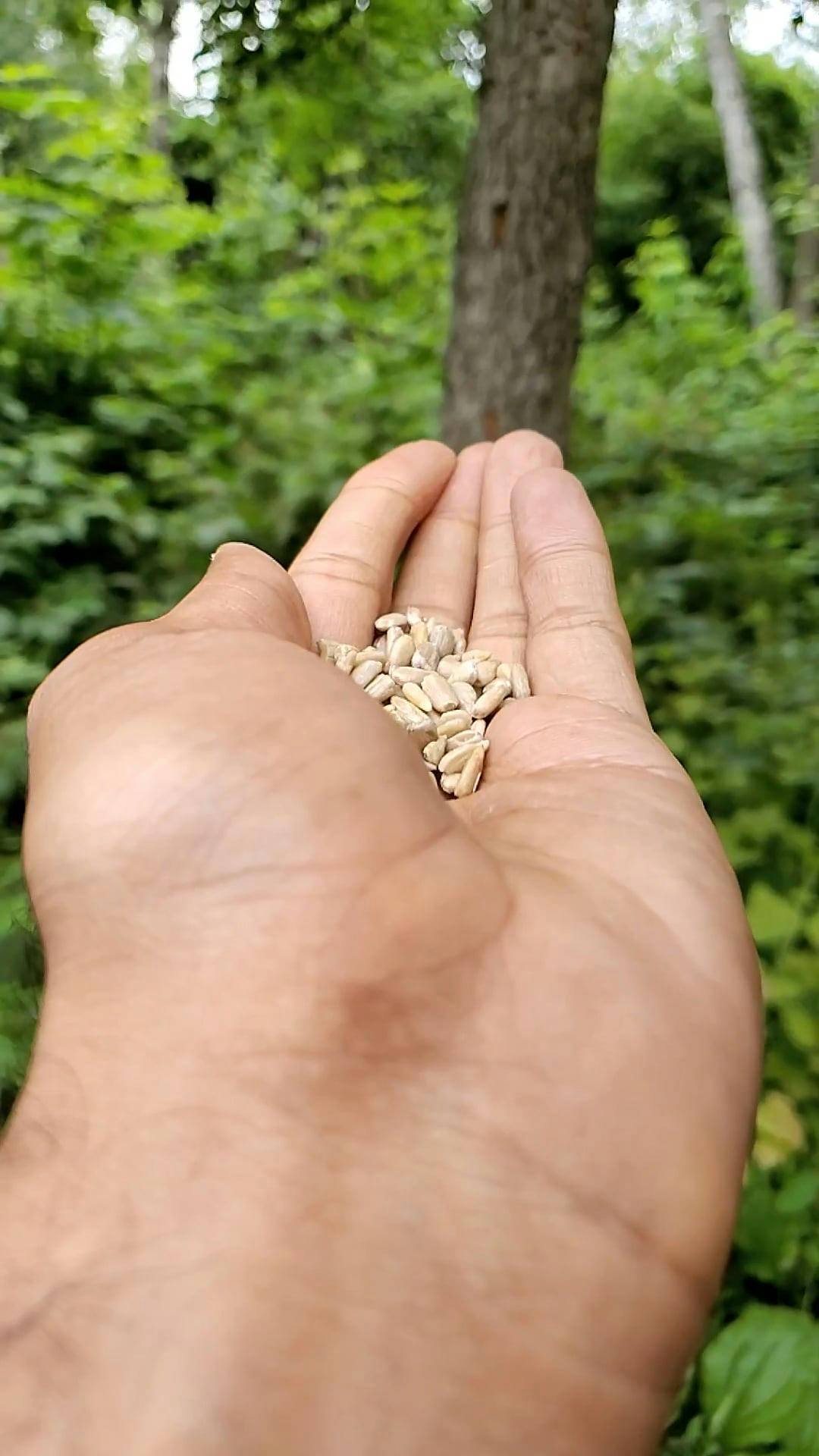 Human Wildlife Interaction Videos, Download The BEST Free 4k Stock ...