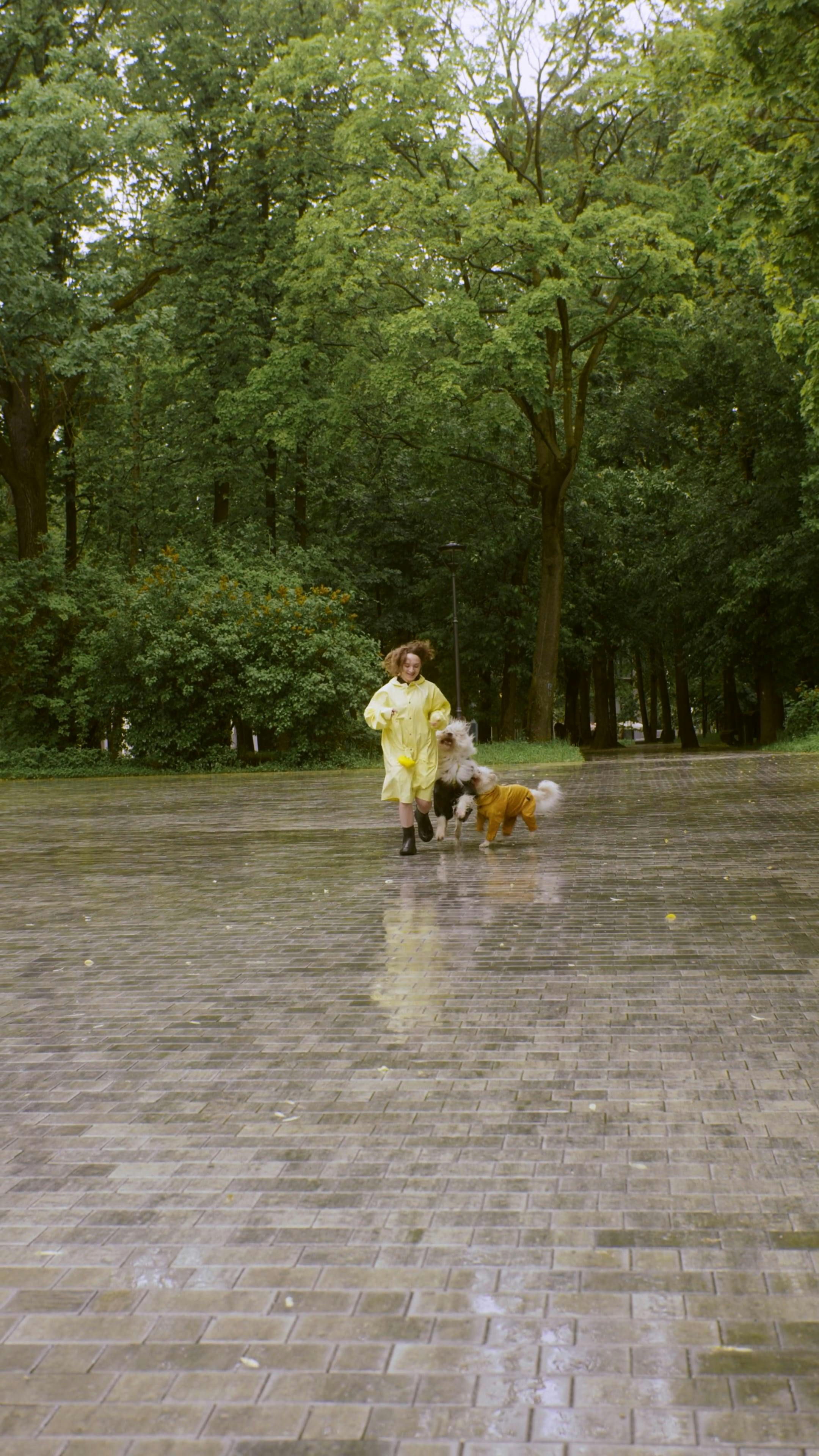 Humans Running Animals Videos, Download The BEST Free 4k Stock Video ...