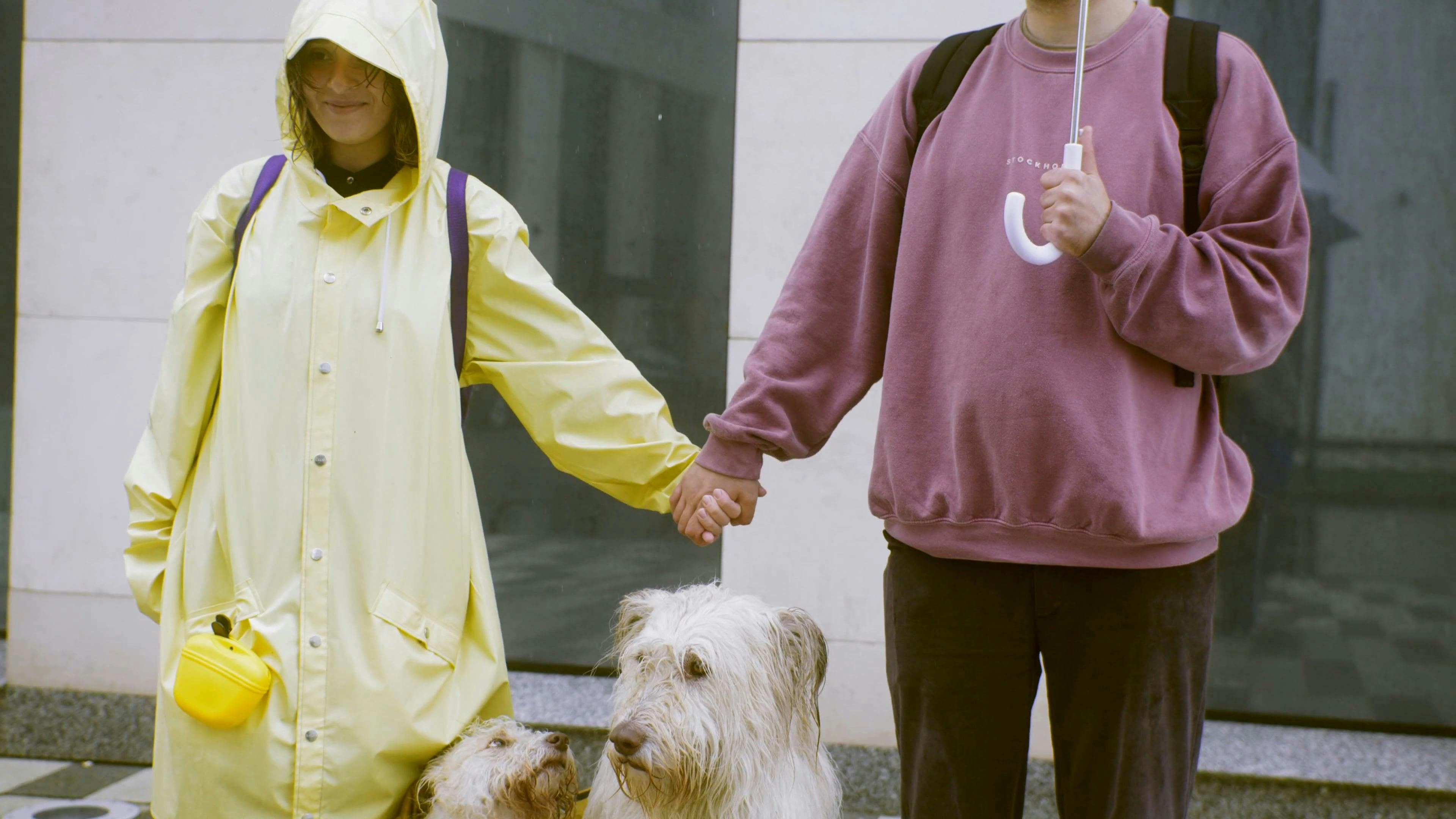 People Petting Dogs Free Stock Video Footage, Royalty-Free 4K & HD ...