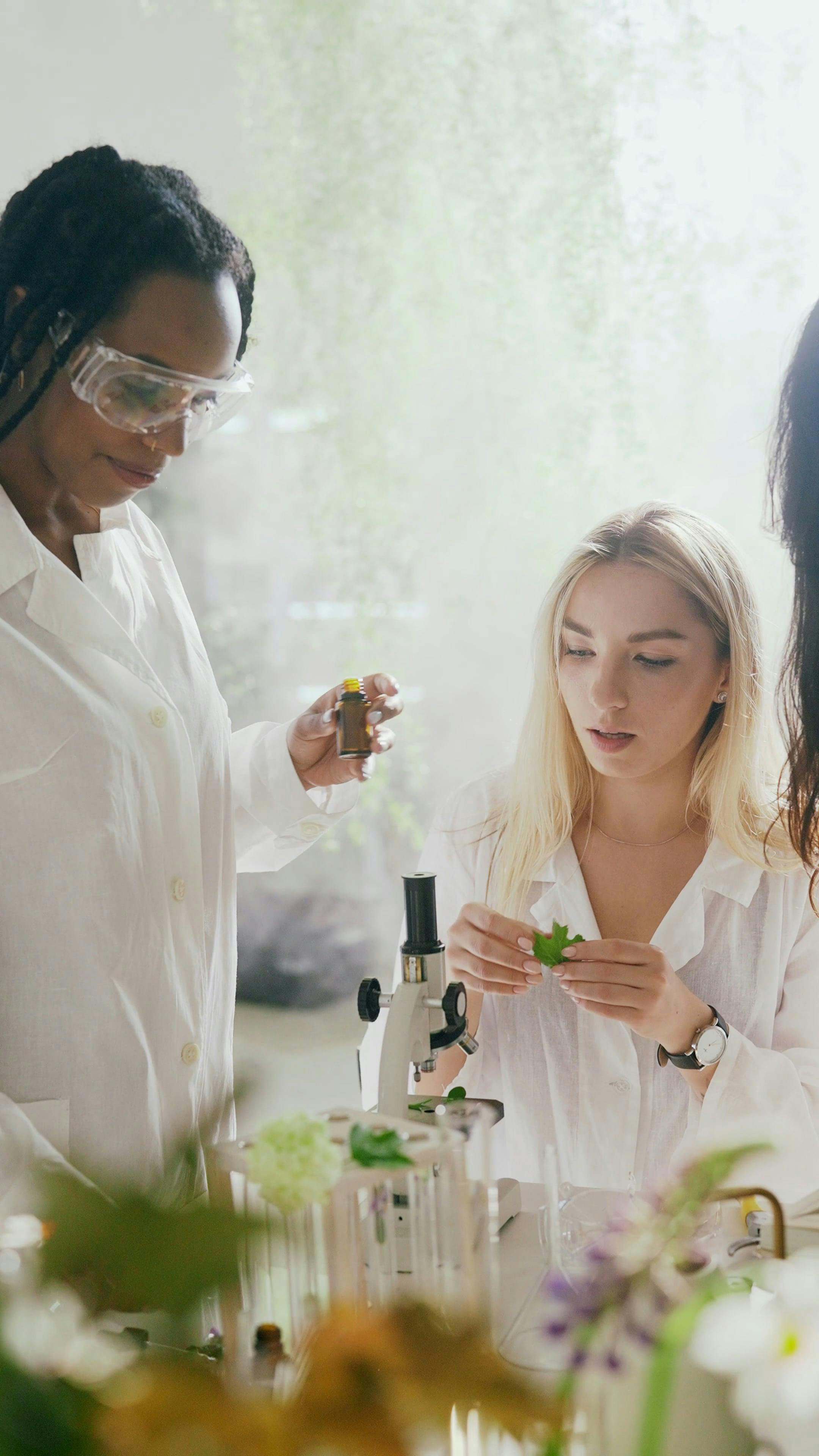 Female Botanists Working at a Laboratory Free Stock Video Footage ...