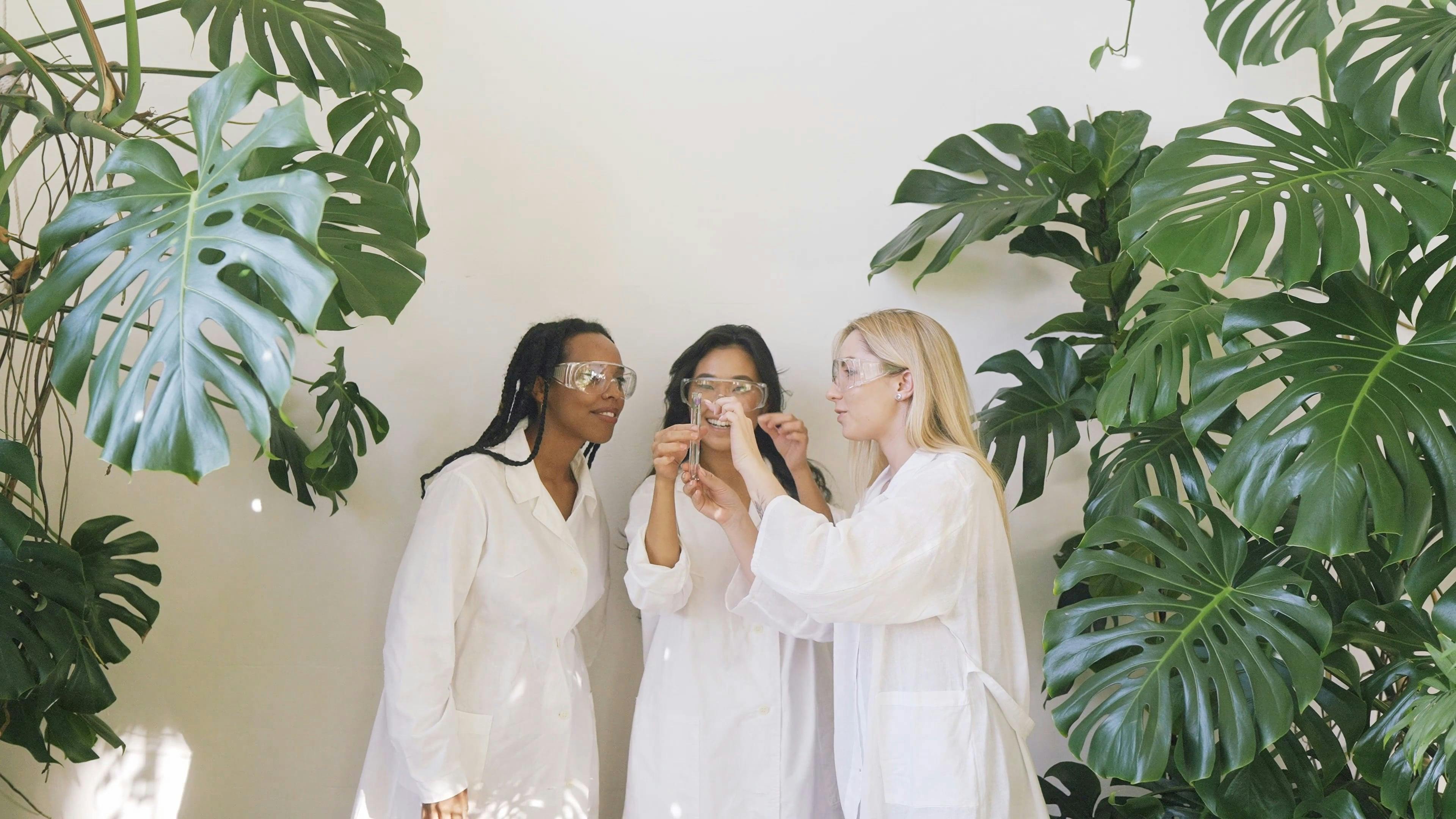 Veggies Lab Videos, Download The BEST Free 4k Stock Video Footage ...