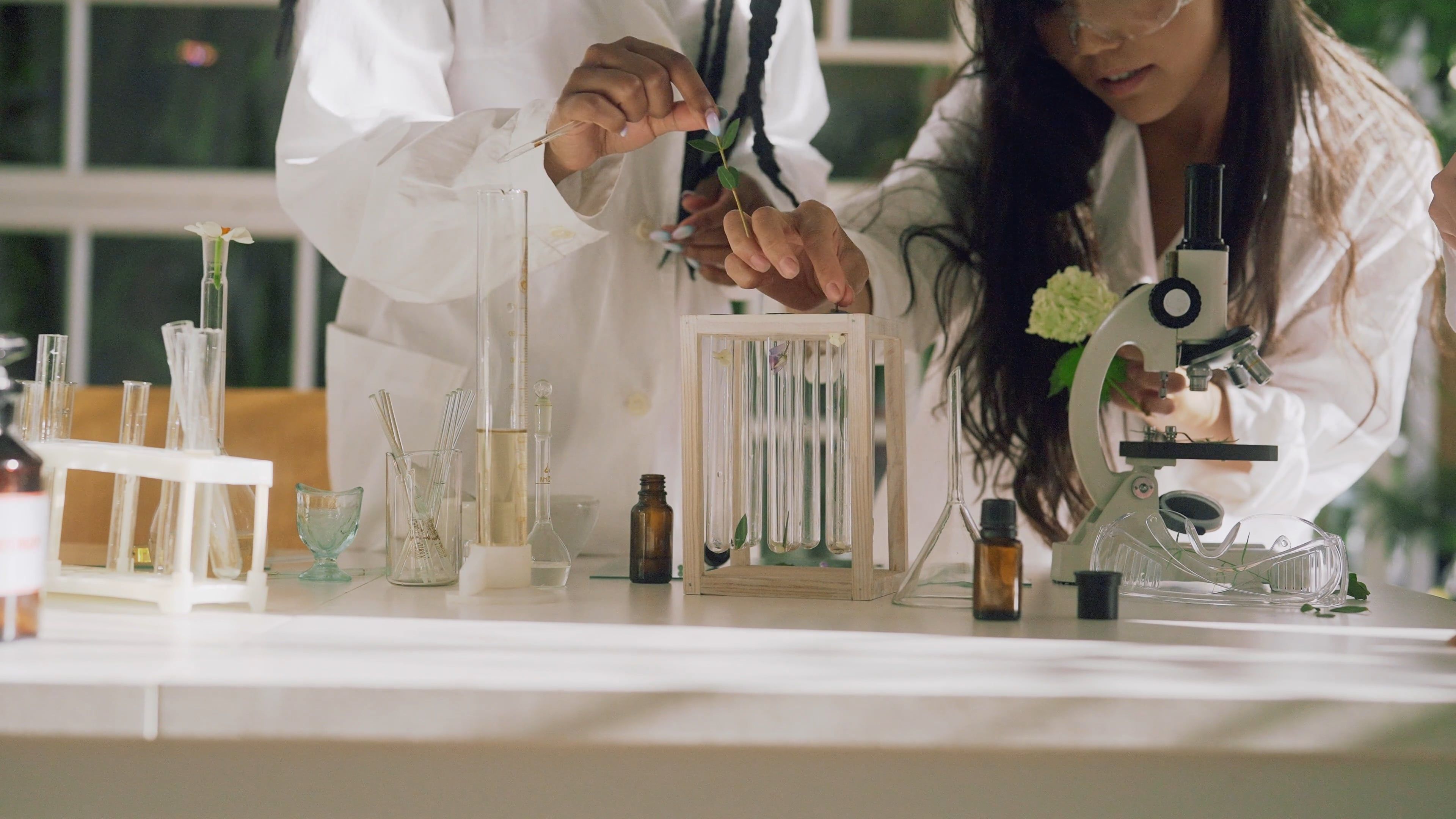 Women Experimenting in Laboratory · Free Stock Video