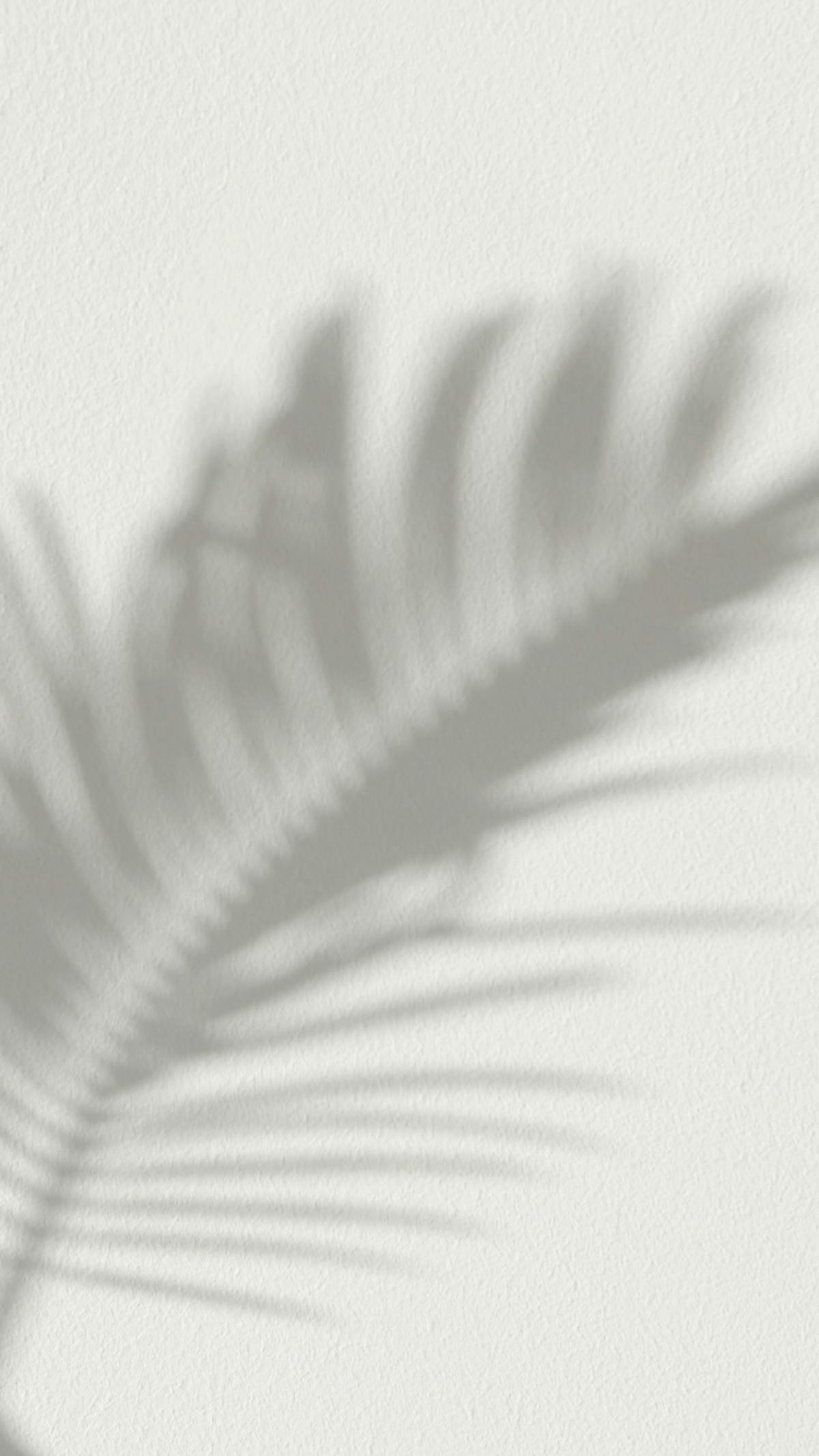 Shadow Videos, Download The BEST Free 4k Stock Video Footage & Shadow ...