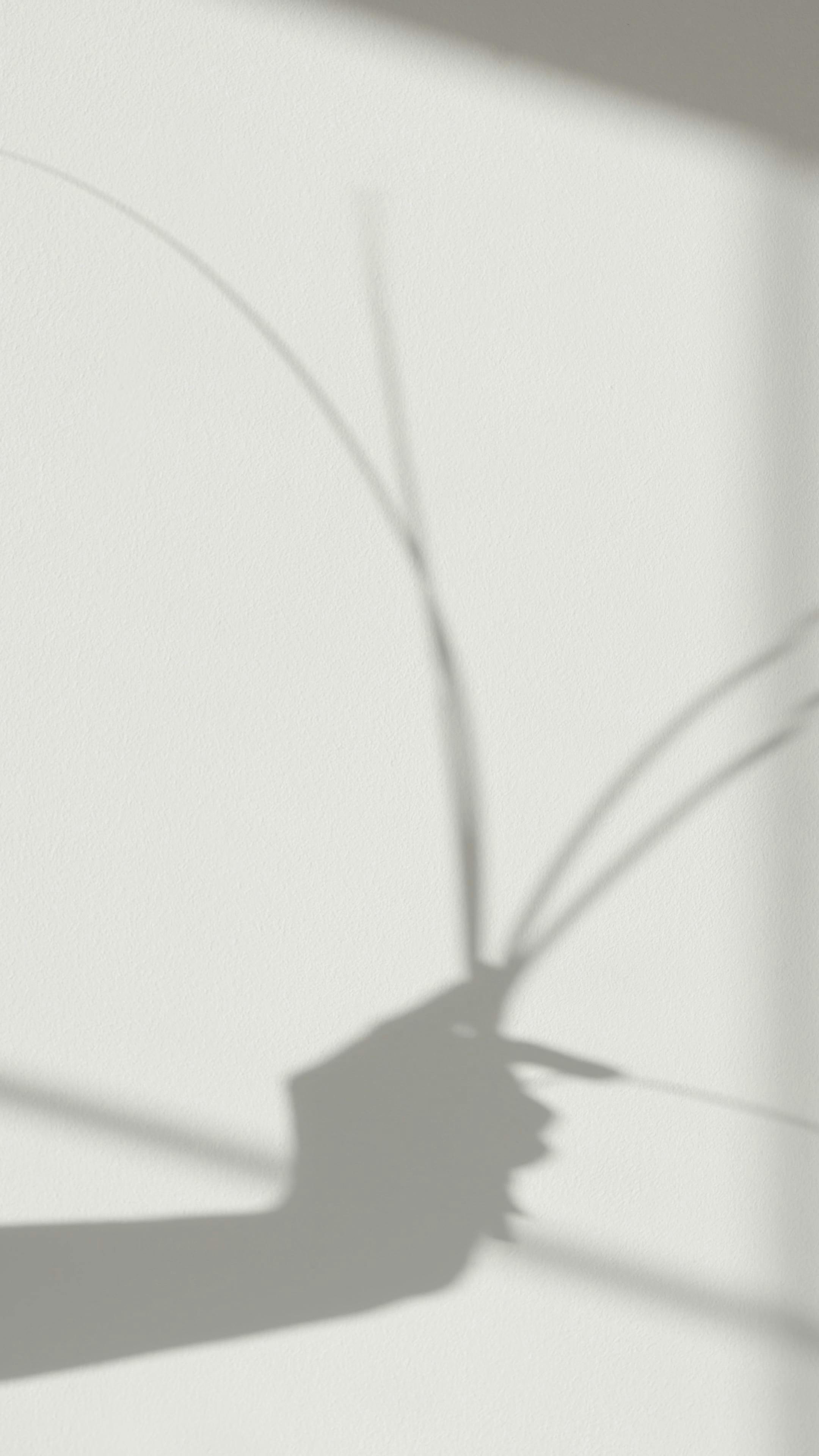 Outline Patterns Videos, Download The BEST Free 4k Stock Video Footage ...