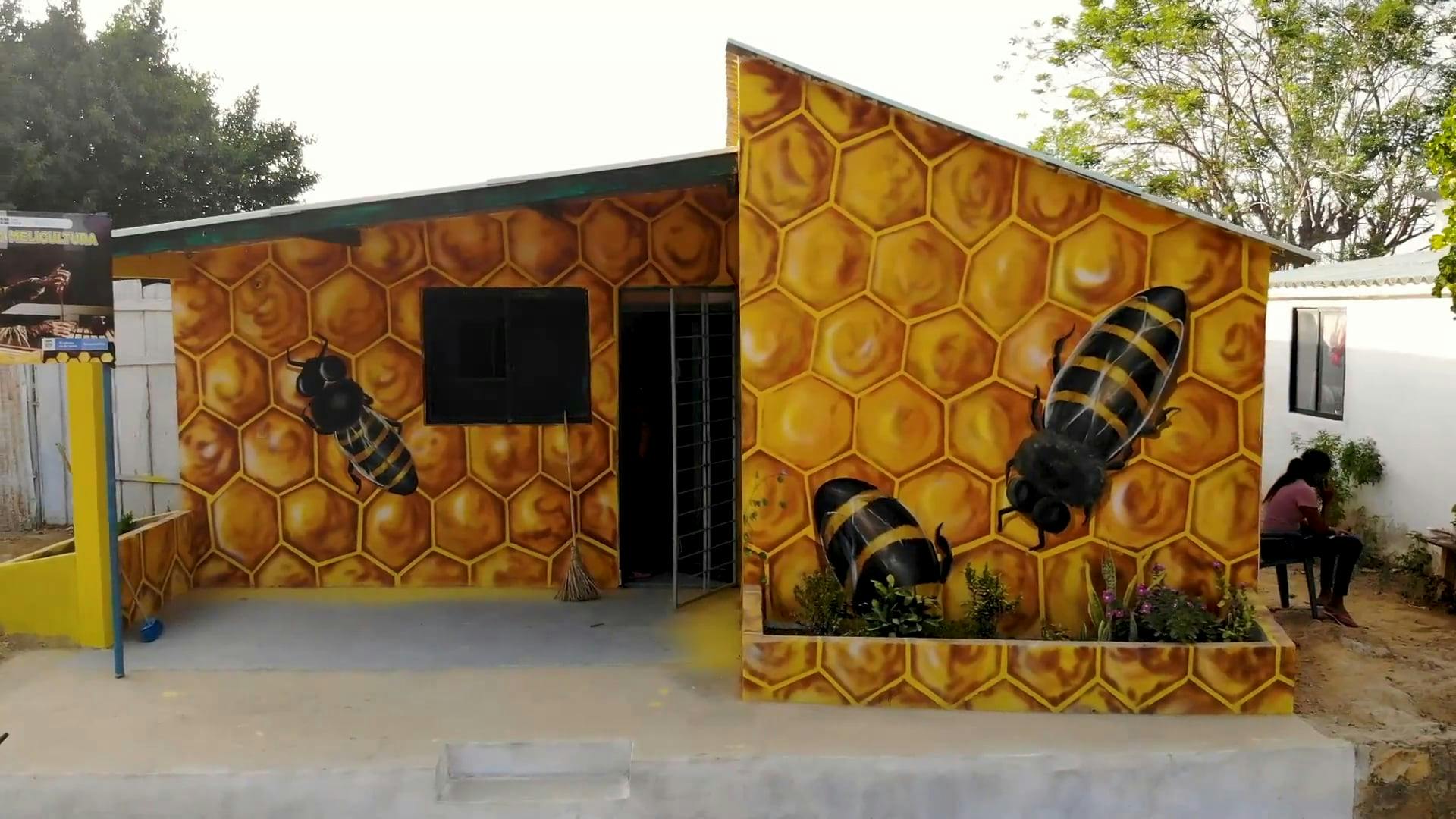 Sunlight over Beehives Free Stock Video Footage, Royalty-Free 4K & HD ...