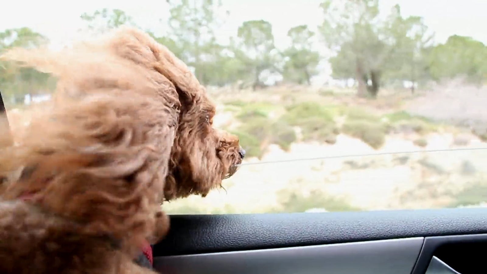 Car Ride Videos, Download The BEST Free 4k Stock Video Footage & Car ...