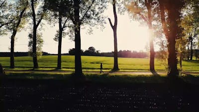 10,855+ Best Free Park 4K Stock Video Footage & Royalty-Free HD Video Clips
