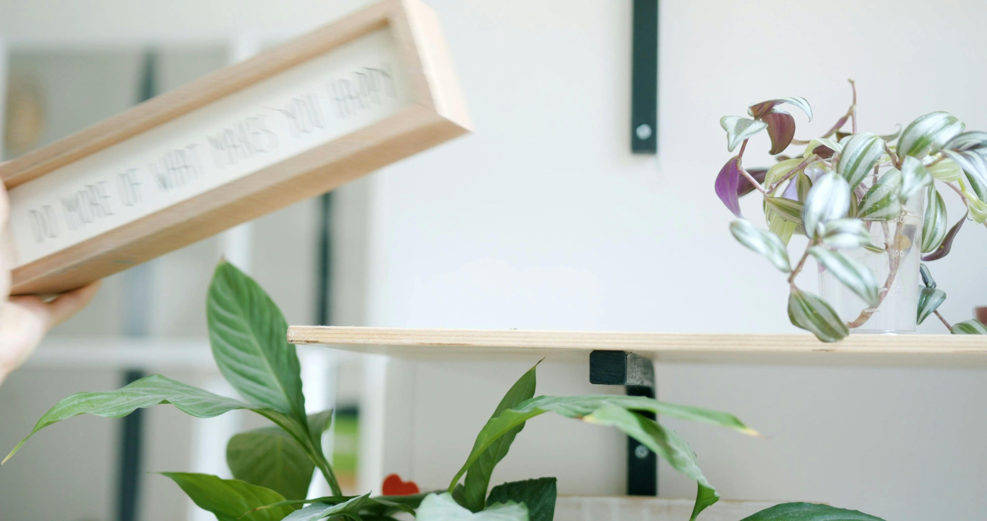 A Hand Placing a Sign with a Phrase on a Shelf Free Stock Video Footage ...