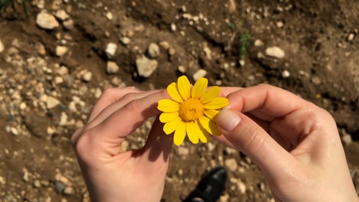 Hands Videos, Download The BEST Free 4k Stock Video Footage & Hands HD ...