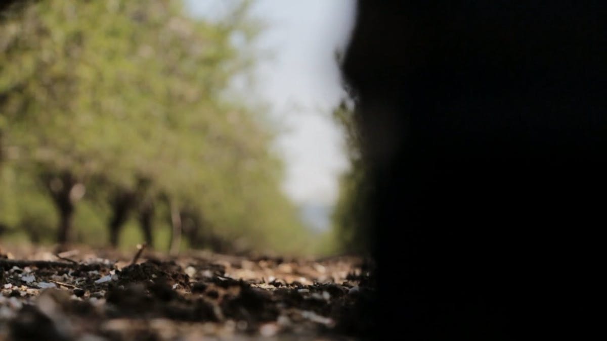 Nike Videos, Download The BEST Free 4k Stock Video Footage & Nike HD ...