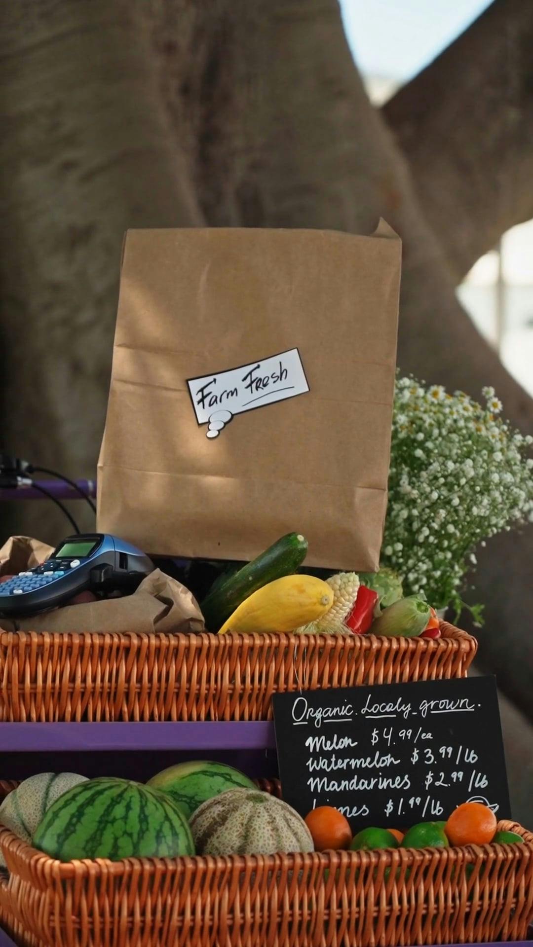 Town Market Videos, Download The BEST Free 4k Stock Video Footage ...