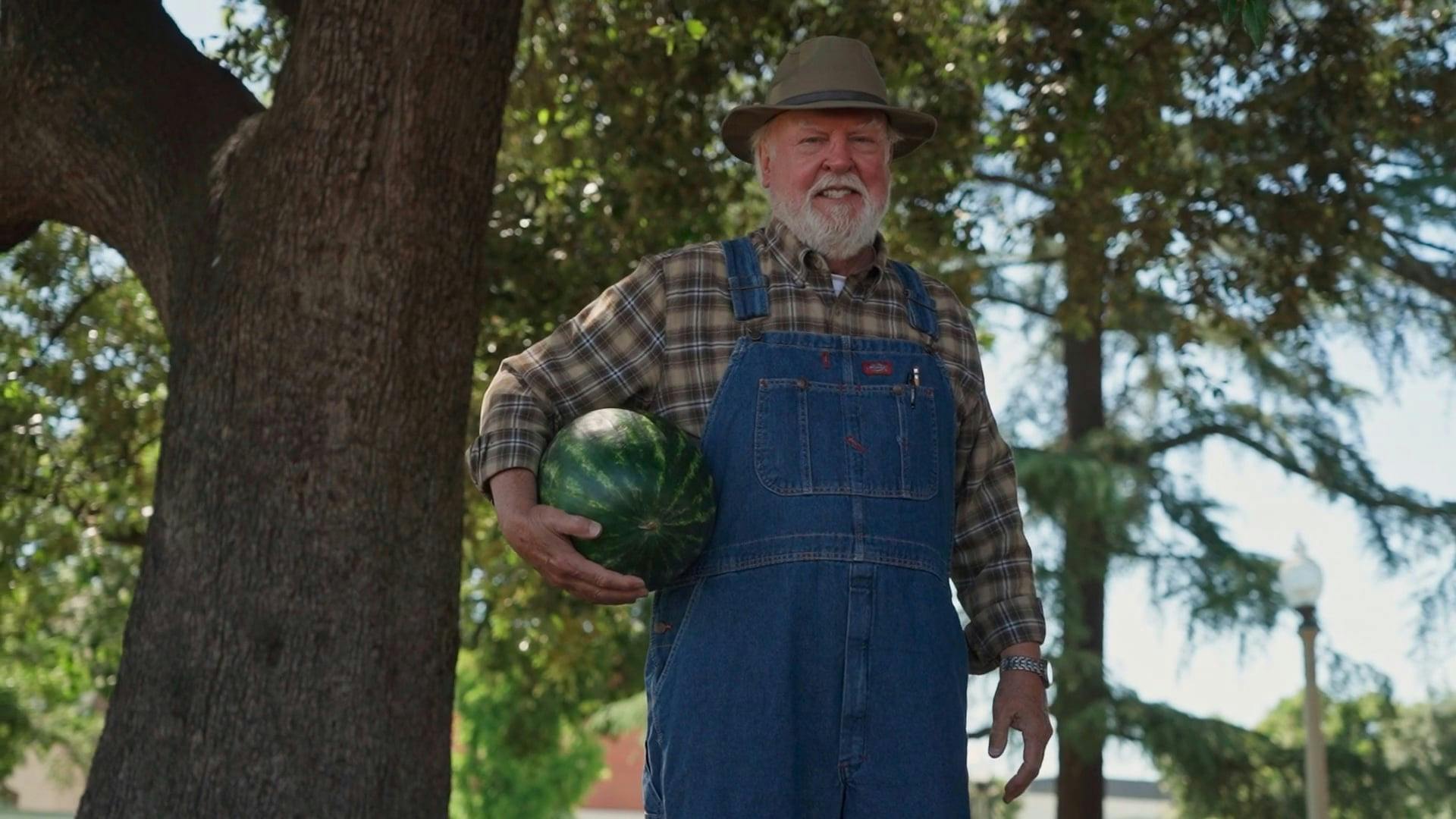 Old Man Farm Videos, Download The BEST Free 4k Stock Video Footage ...