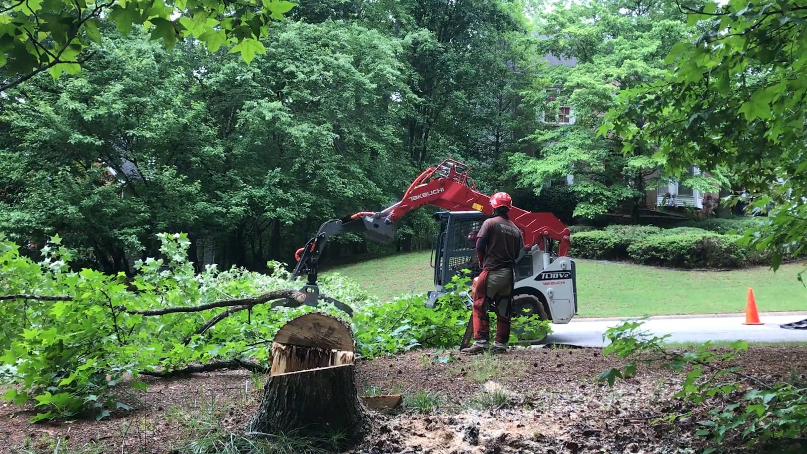 Tree Cutting Videos, Download Free 4k Stock Video Footage & Tree ...