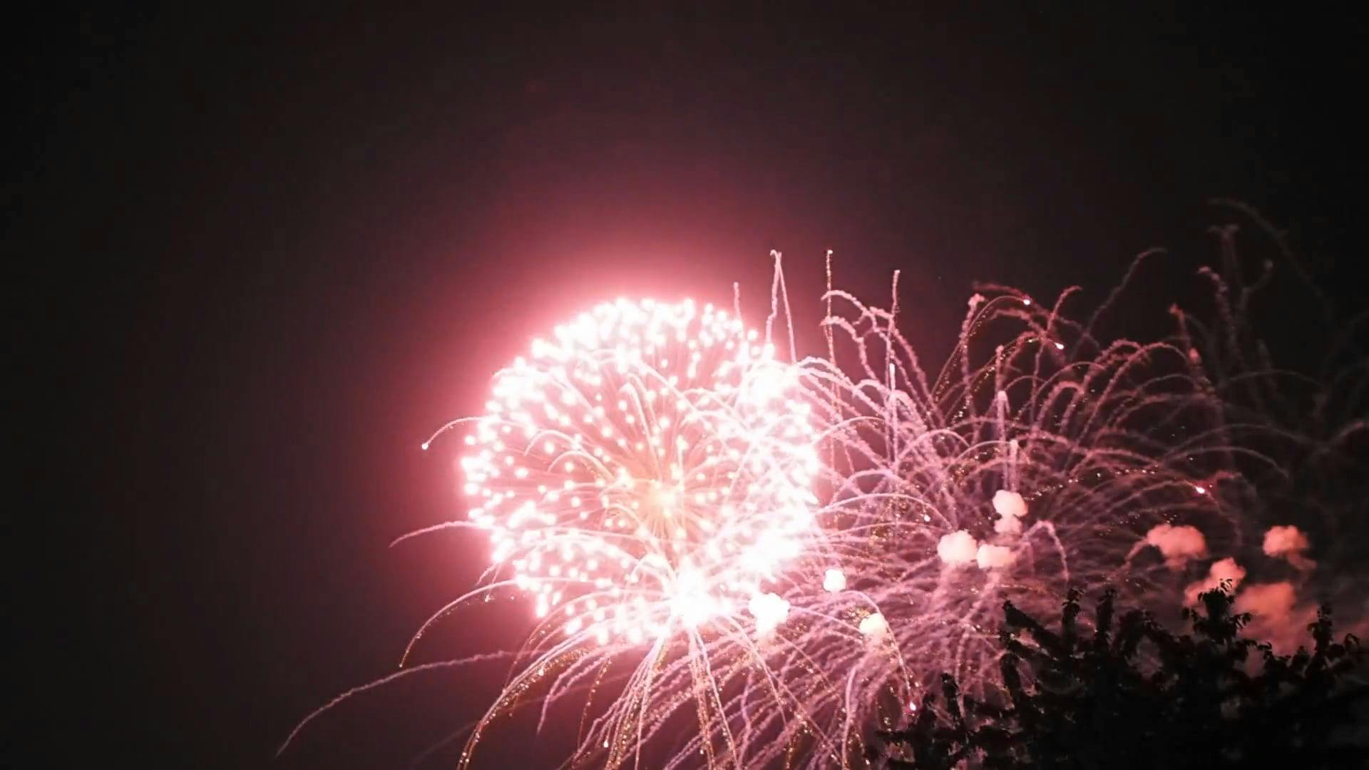 Fireworks Display At Night · Free Stock Video