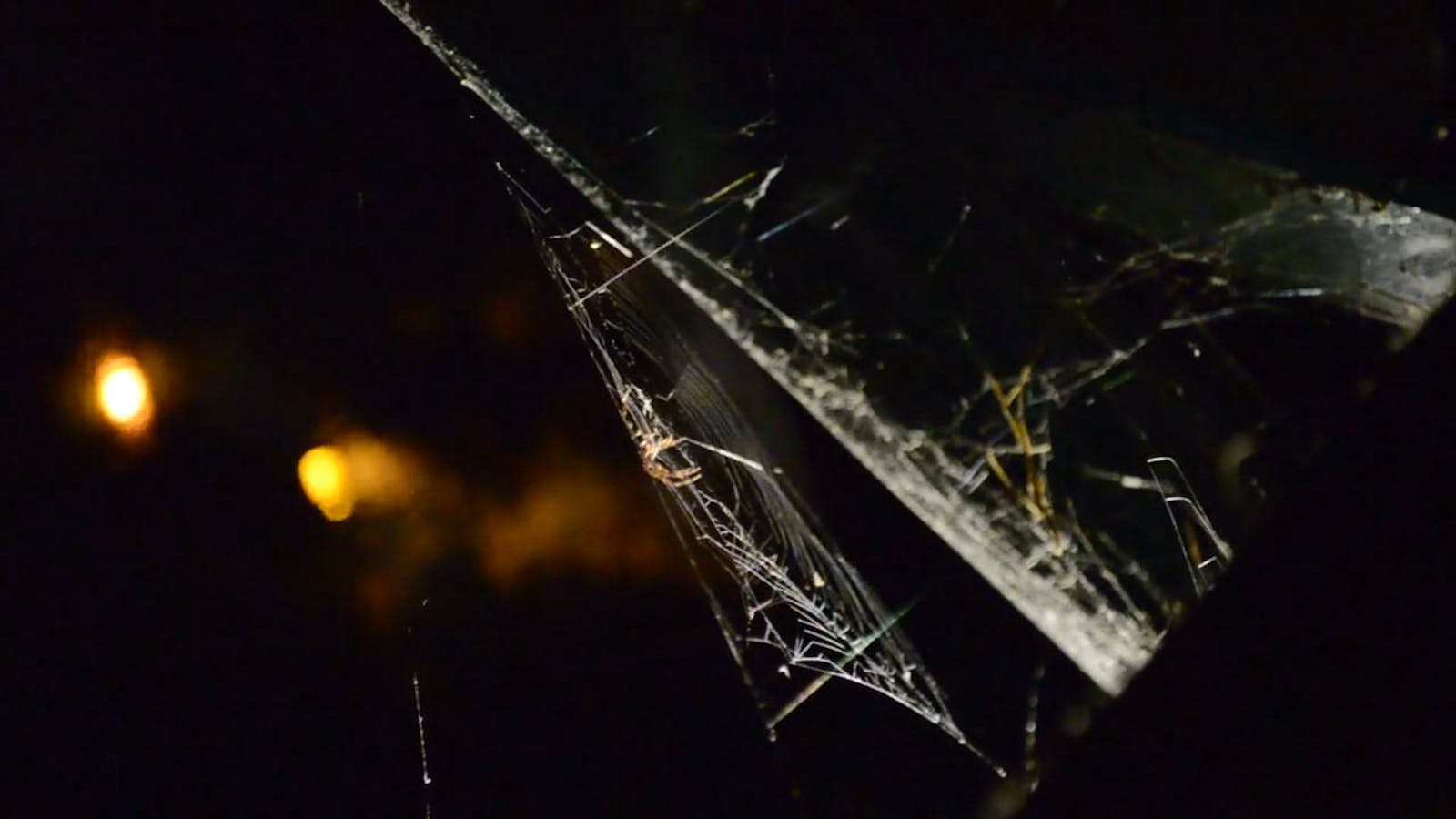 Spider Videos, Download The BEST Free 4k Stock Video Footage & Spider ...