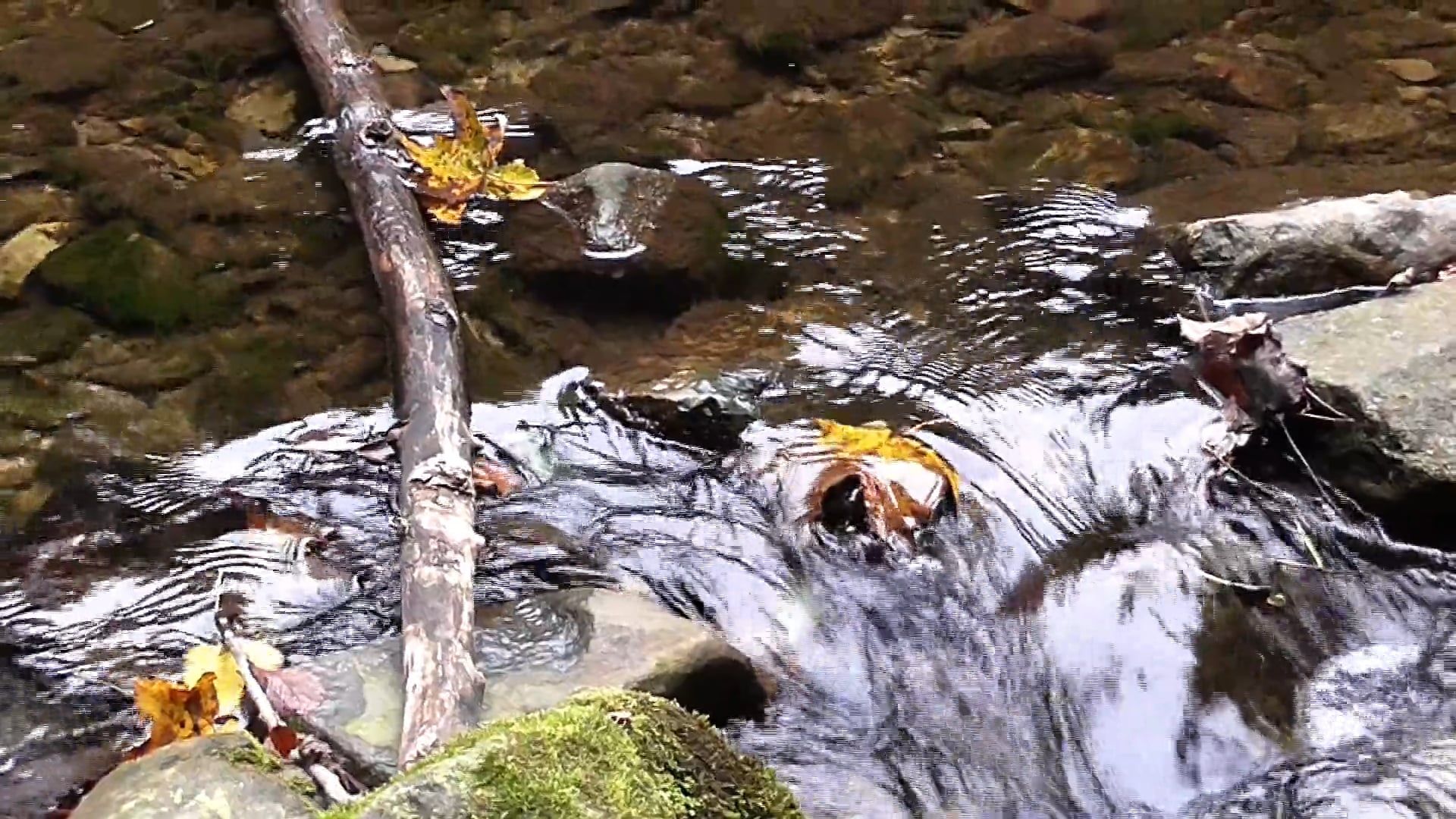 Video Of River Flowing · Free Stock Video