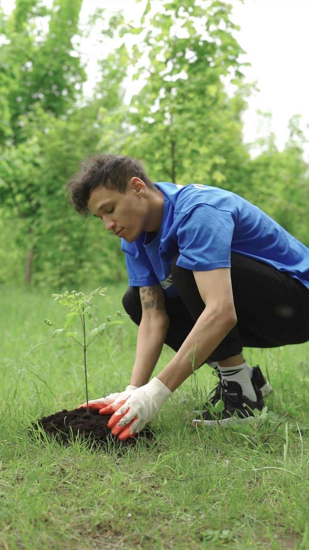 Tree Planting Videos, Download The BEST Free 4k Stock Video Footage ...