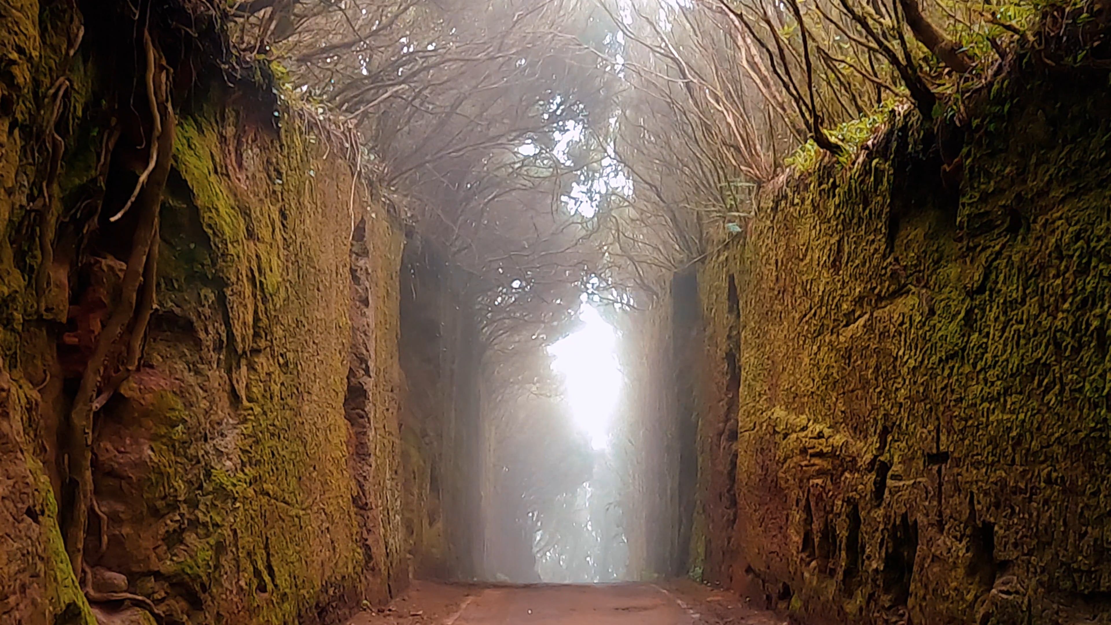 A Footage of a Long Narrow Passage Free Stock Video Footage, Royalty ...