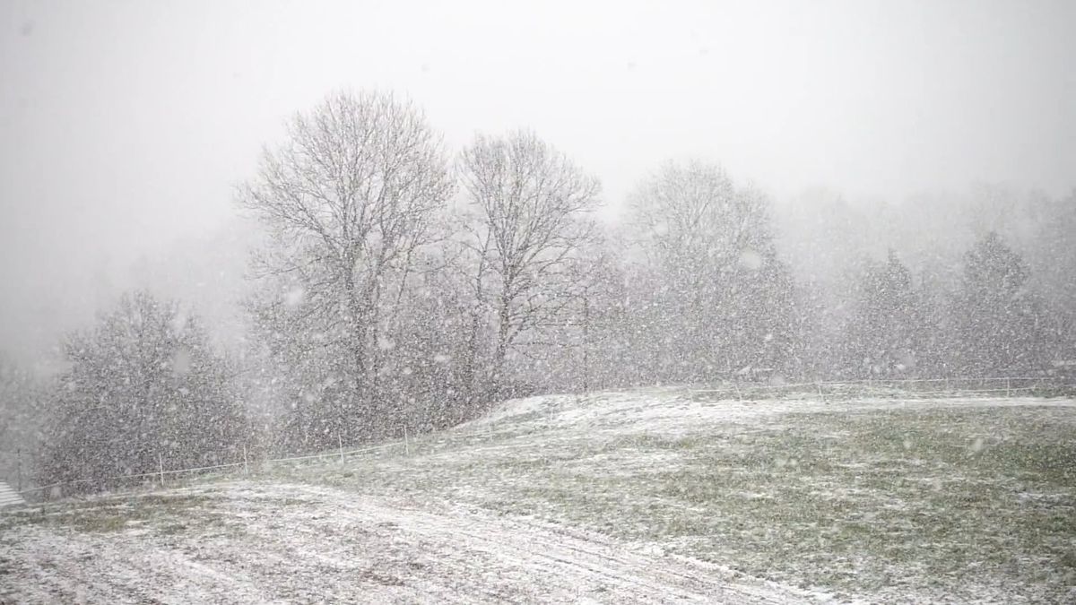 Snow Videos, Download The BEST Free 4k Stock Video Footage & Snow HD ...