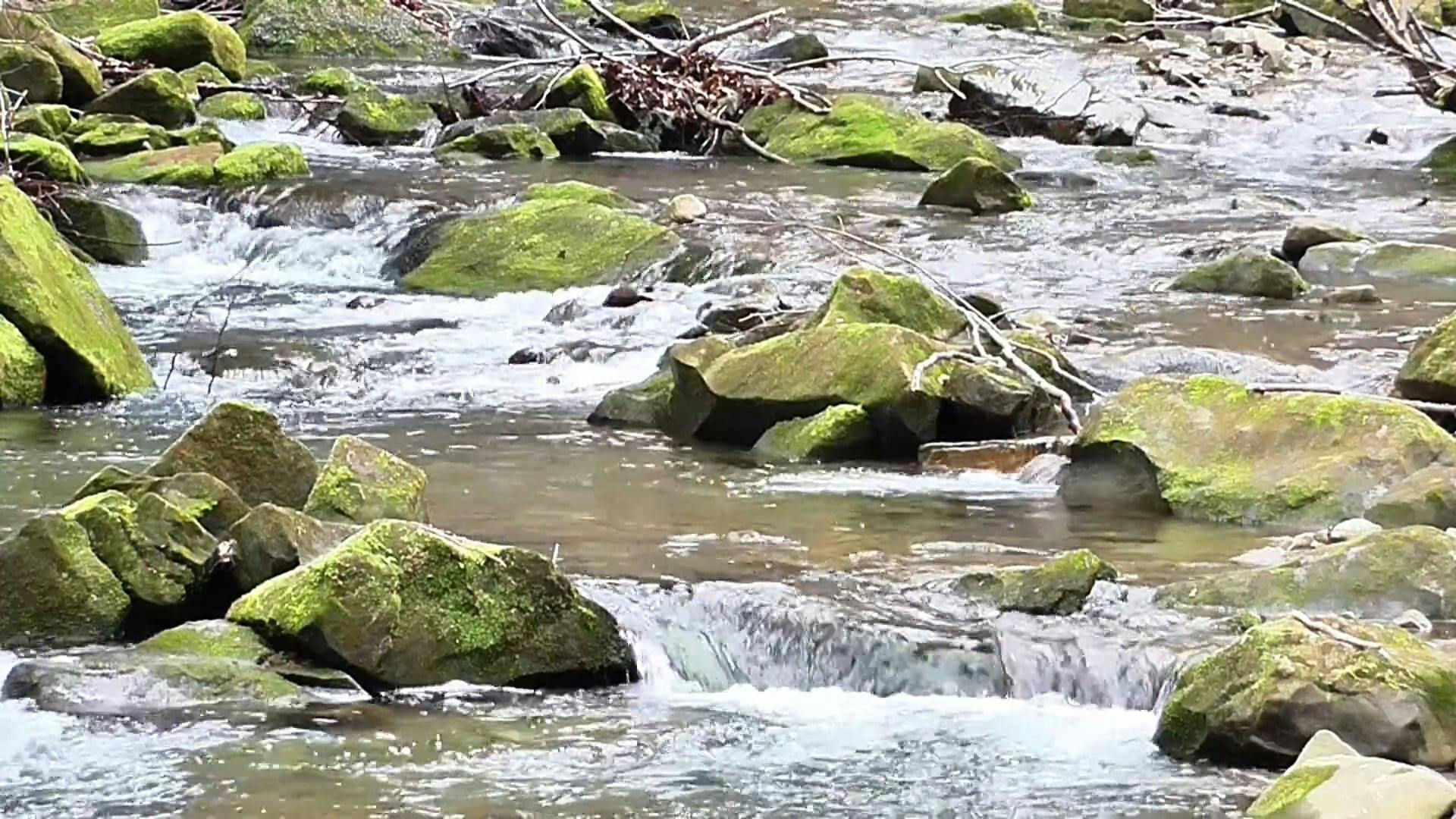 Video Footage Of Water Stream · Free Stock Video