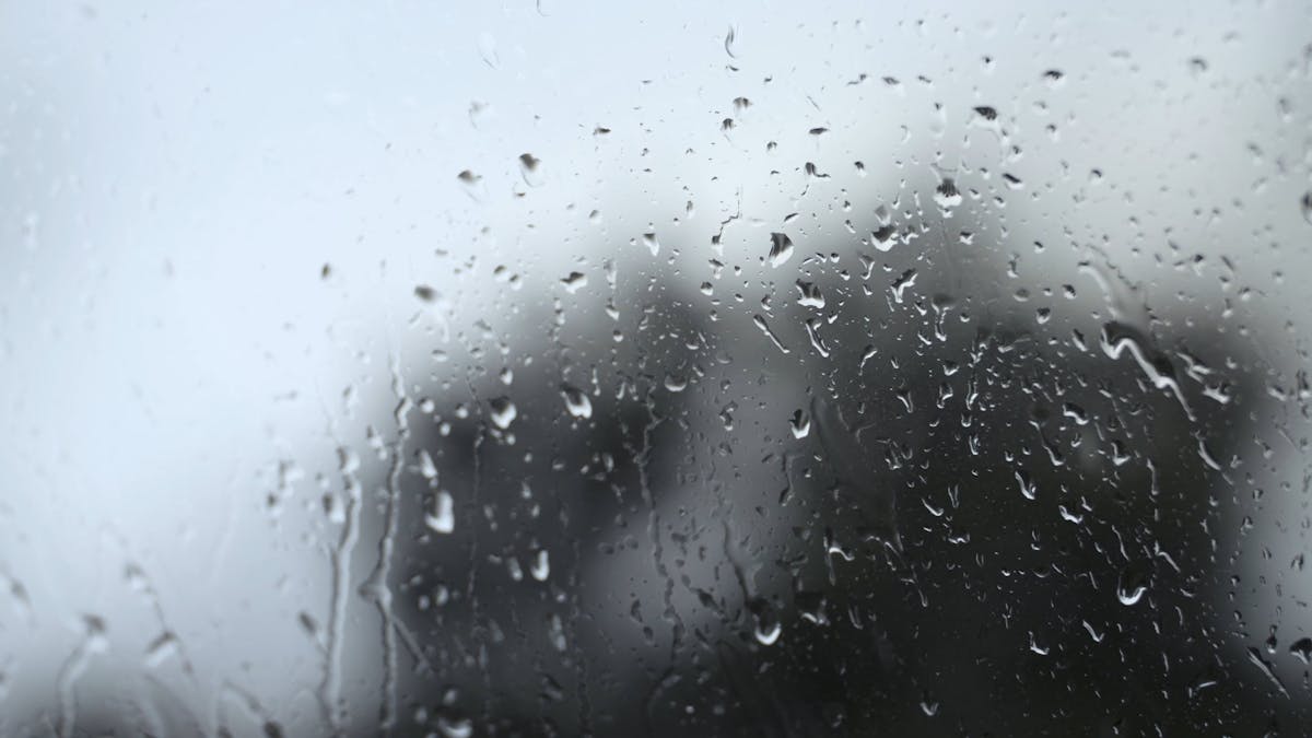 Rain Falling Videos, Download The BEST Free 4k Stock Video Footage ...