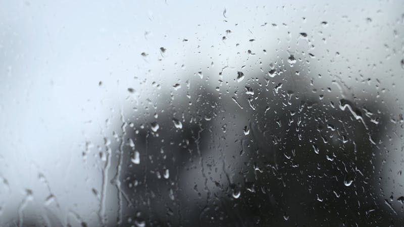 Rain Falling Videos, Download The BEST Free 4k Stock Video Footage ...