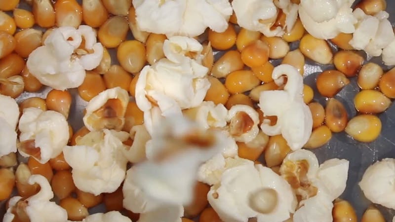 468+ Best Free Popcorn 4K Stock Video Footage & Royalty-Free HD Video Clips
