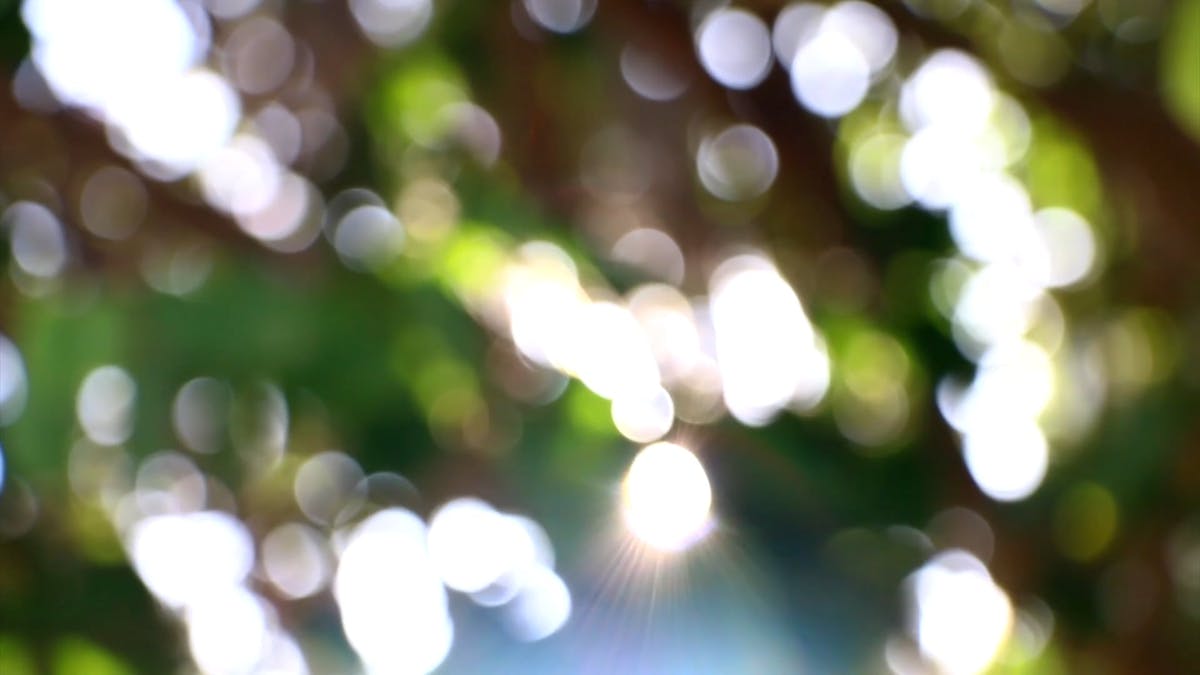 Sun Videos, Download The BEST Free 4k Stock Video Footage & Sun HD ...