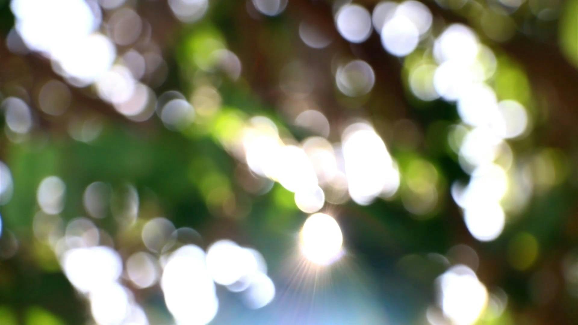 Video Of Morning Sunshine · Free Stock Video