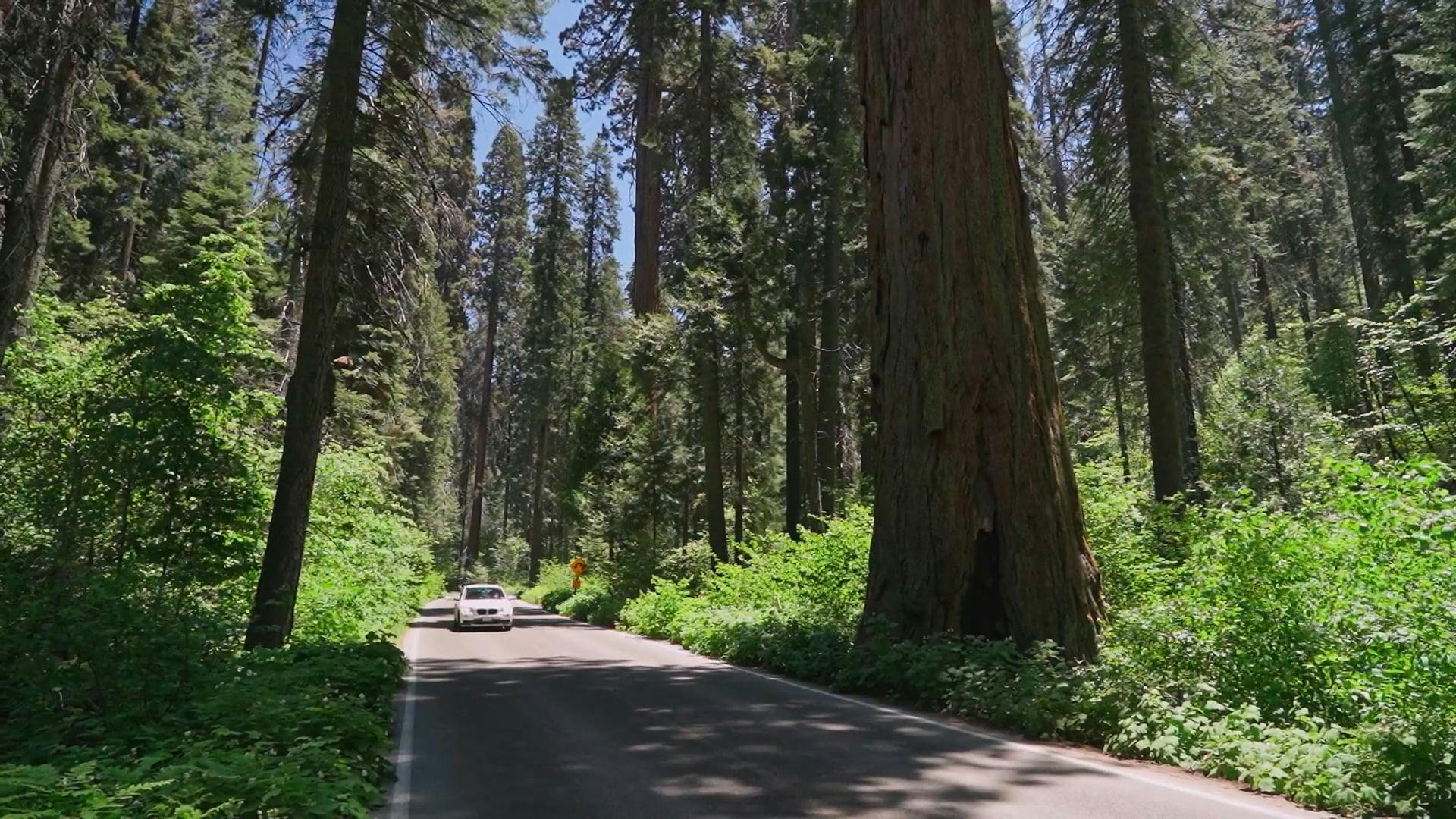 Peaceful Commute Videos, Download The BEST Free 4k Stock Video Footage ...