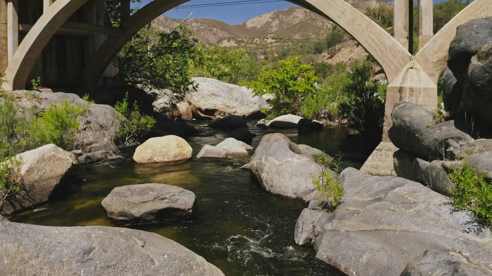A Stream at Sequoia National Park · Free Stock Video
