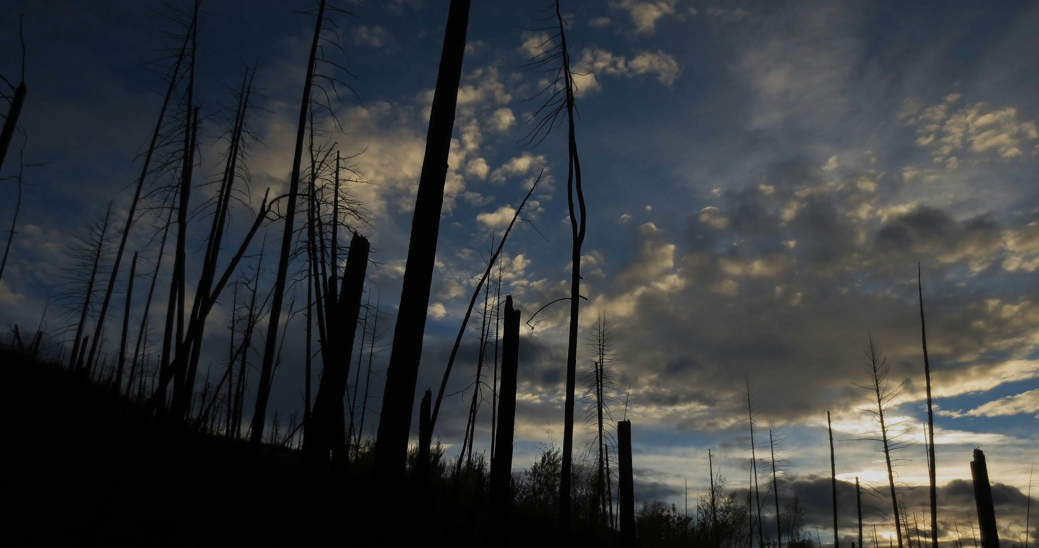 Before Nightfall Videos, Download The BEST Free 4k Stock Video Footage ...