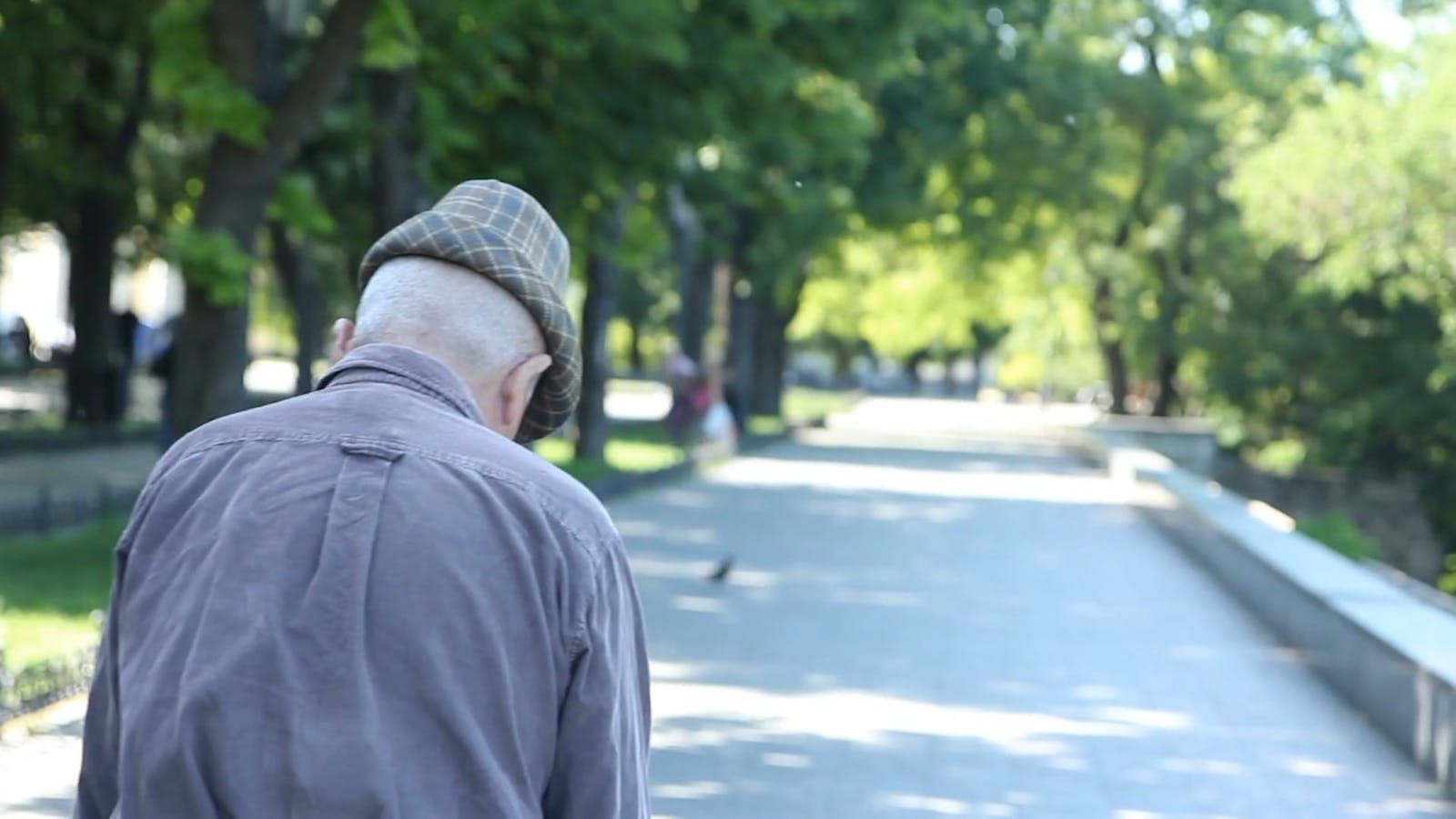 90,570+ Best Free Old man 4K Stock Video Footage & Royalty-Free HD ...