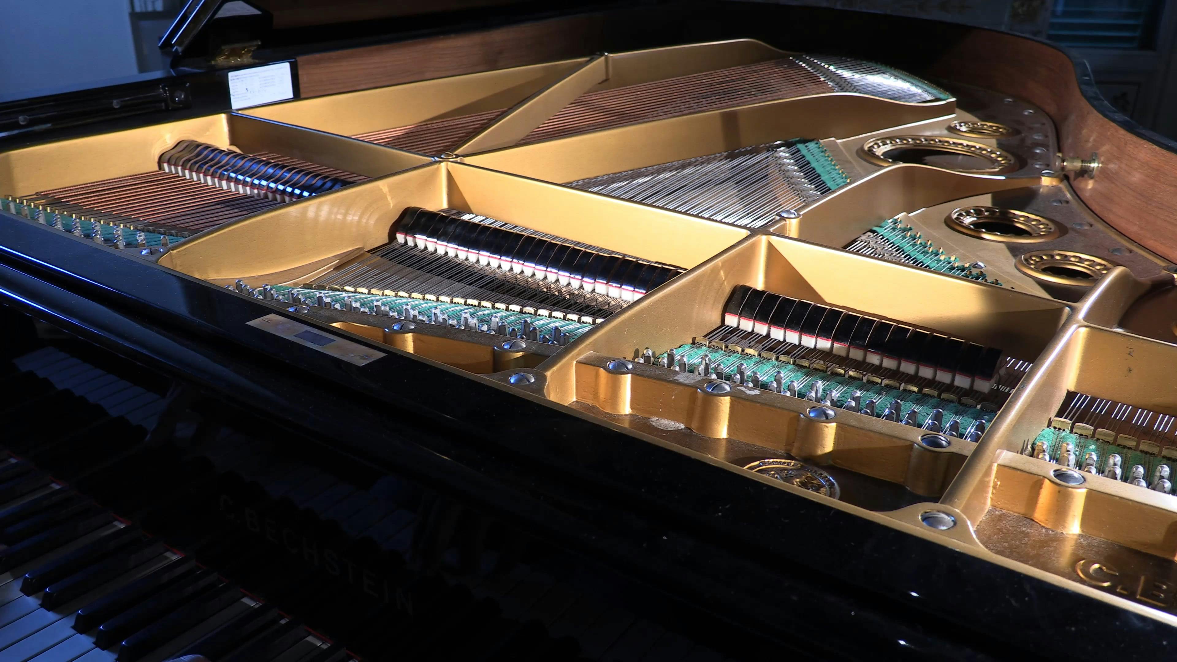 Piano Details Videos, Download The BEST Free 4k Stock Video Footage & Piano Details HD Video Clips