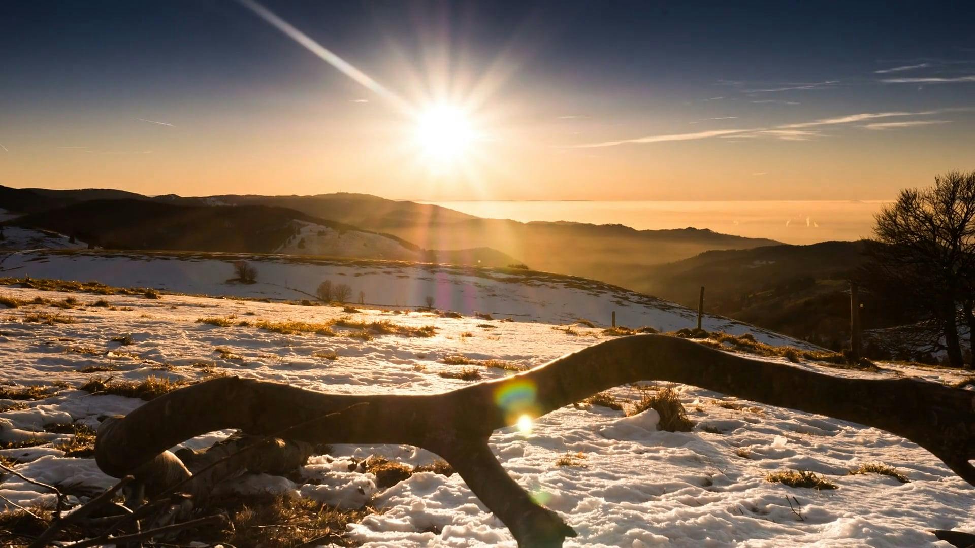 Jaw Dropping Videos, Download The BEST Free 4k Stock Video Footage ...