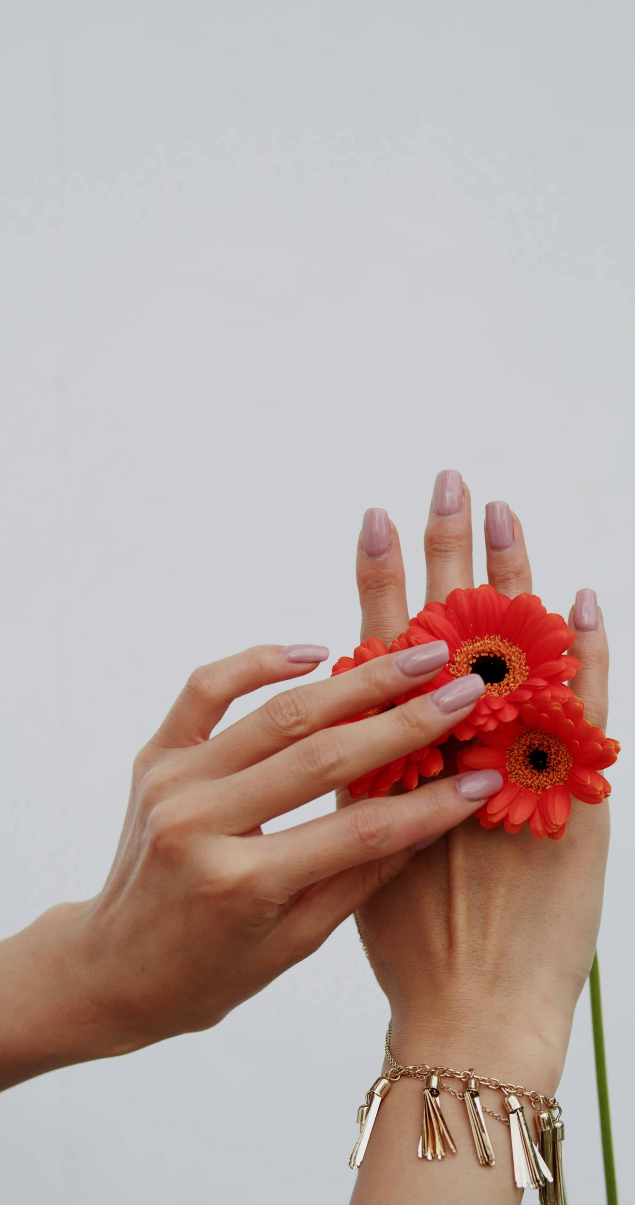 Nails And Flowers Videos, Download The BEST Free 4k Stock Video Footage ...