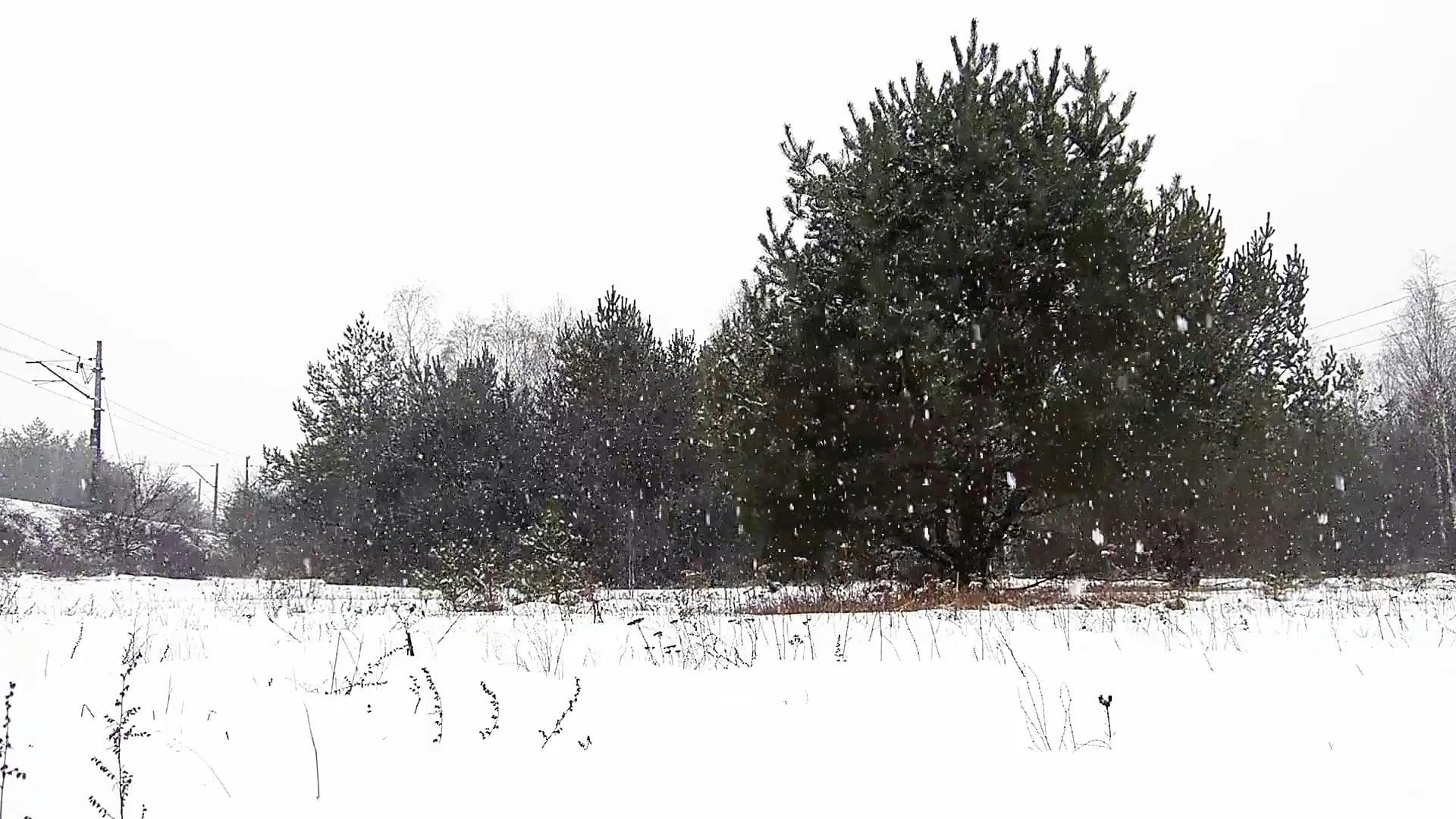 Video Of Snowfall Free Stock Video Footage, Royalty-Free 4K & HD Video Clip