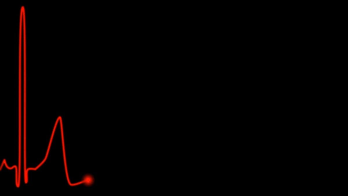 Heartbeat Videos, Download The BEST Free 4k Stock Video Footage ...