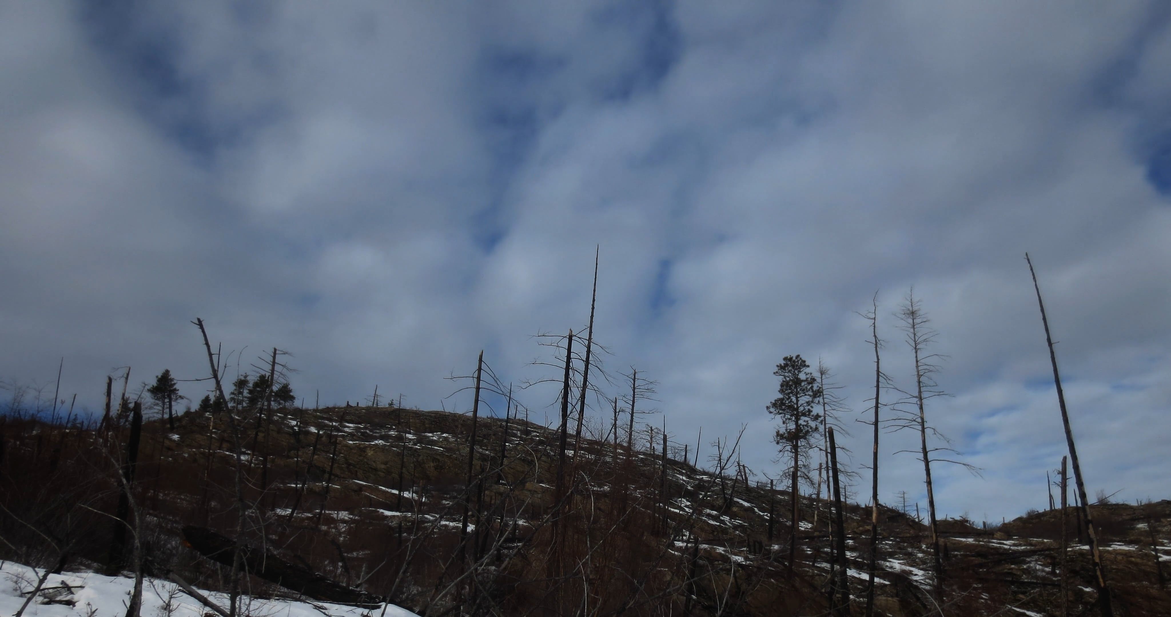 Video Of Deforestation Free Stock Video Footage, Royalty-Free 4K & HD ...