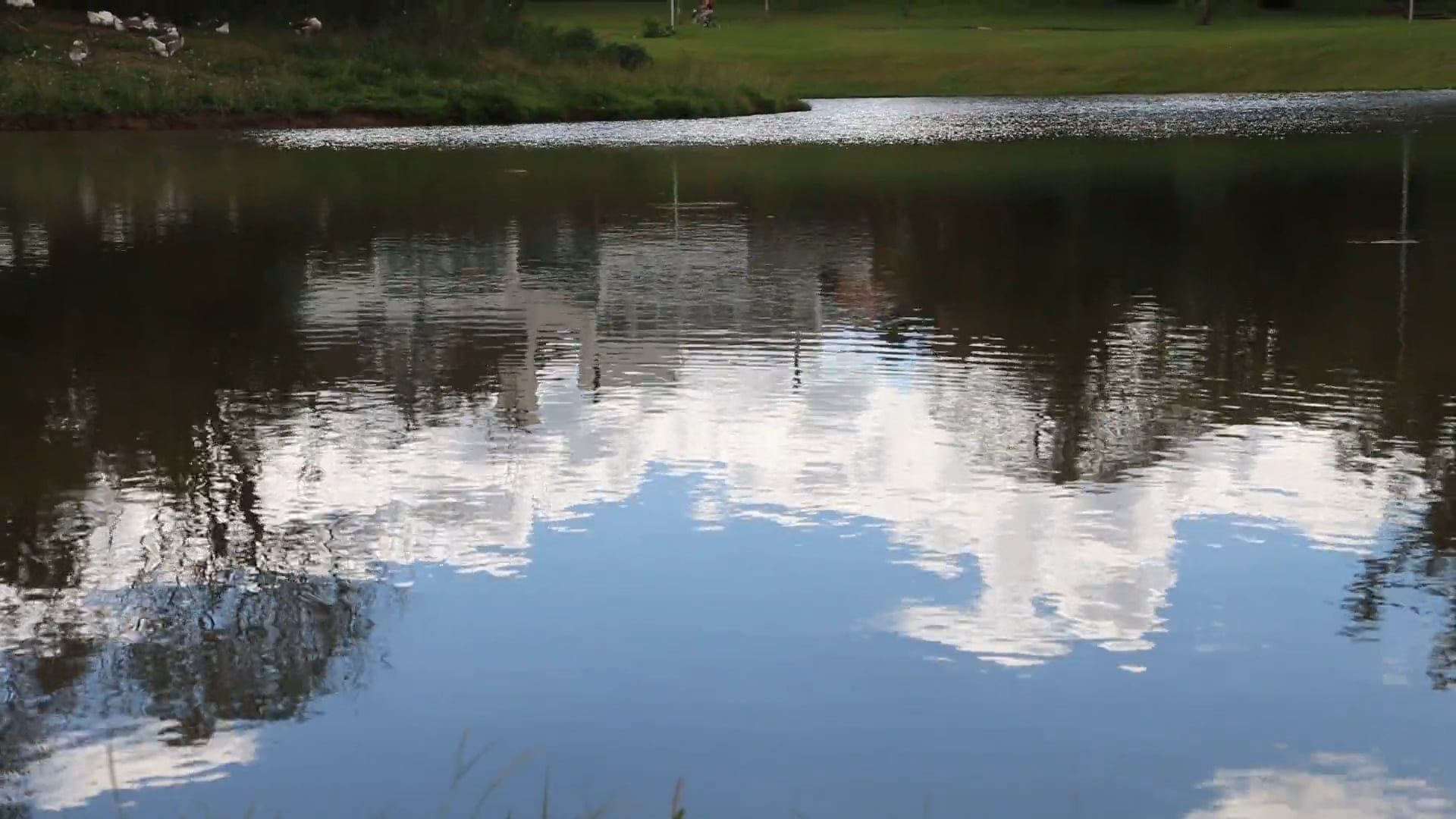 Nature Park Video Free Stock Video Footage, Royalty-Free 4K & HD Video Clip