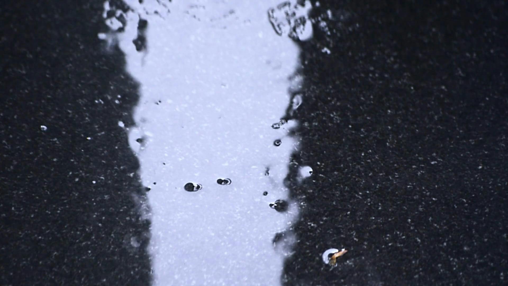 Puddle Of Water · Free Stock Video