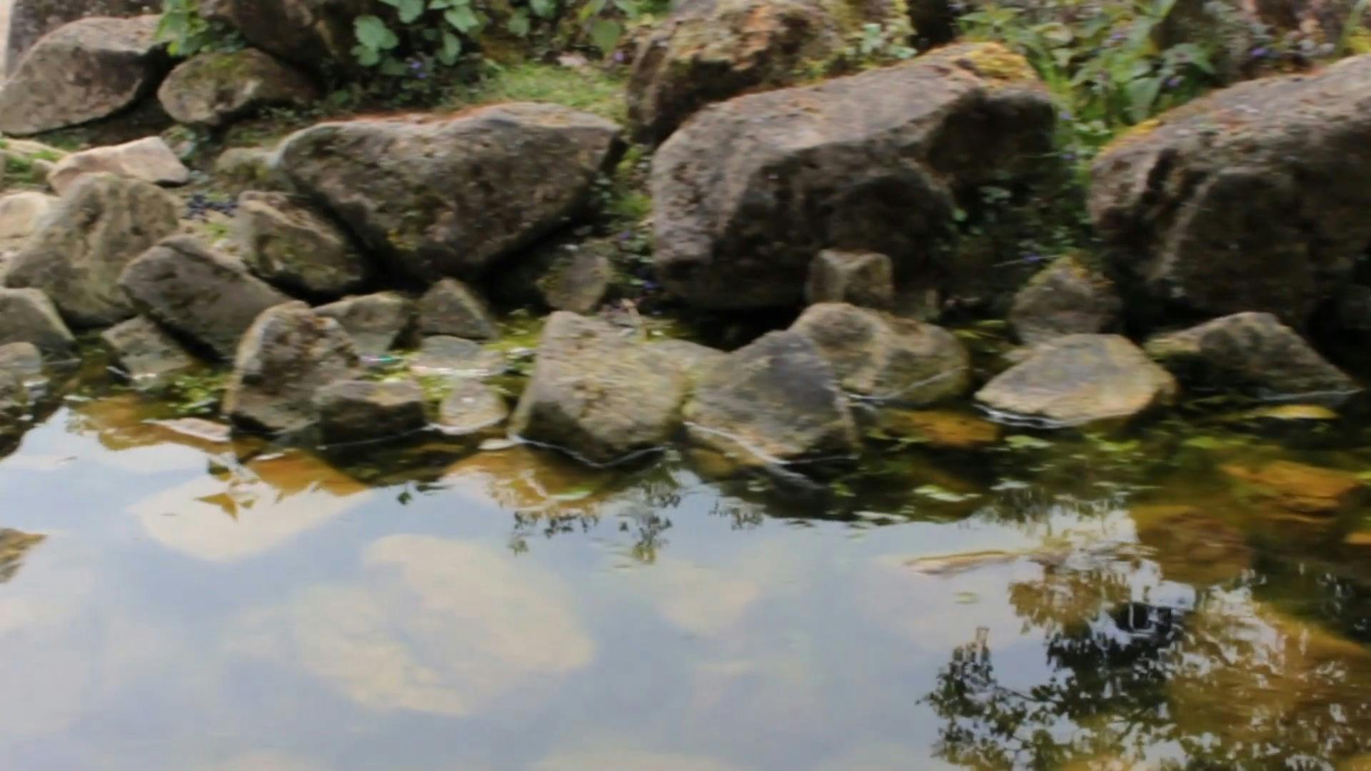 Big Rocks On Water · Free Stock Video