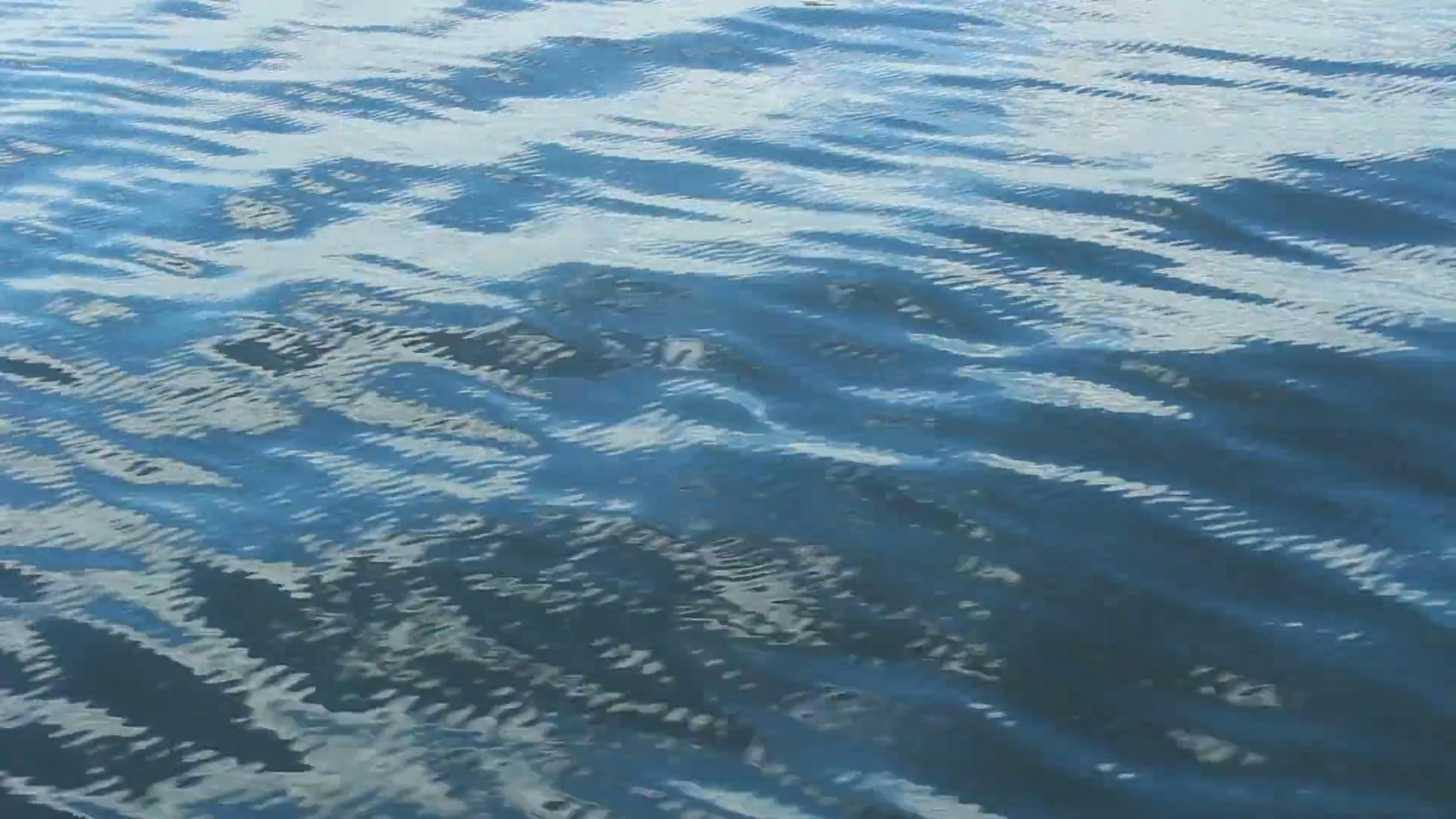 Flowing Water Video · Free Stock Video