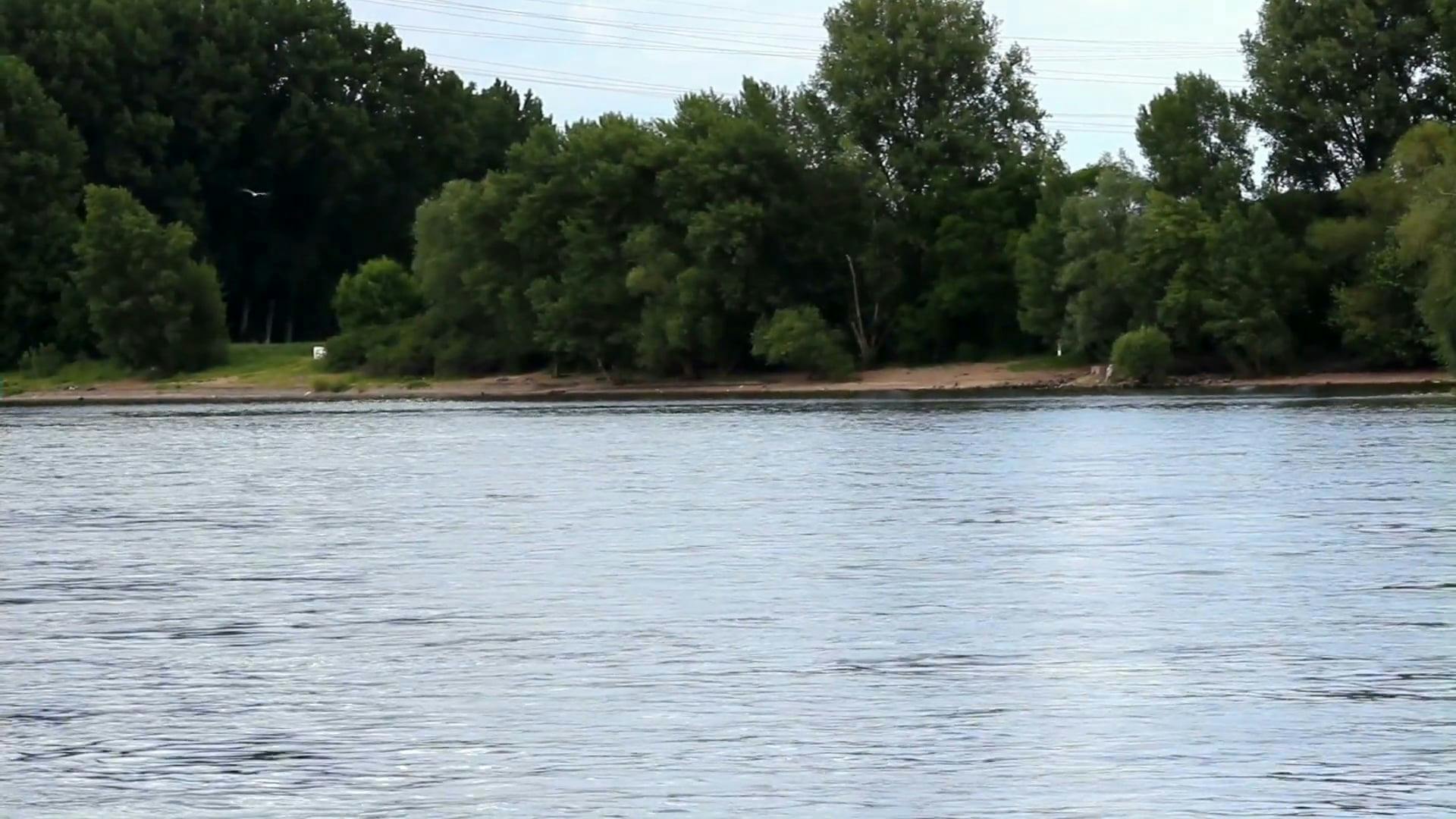 Tree Lined Riverbank Videos, Download The BEST Free 4k Stock Video ...