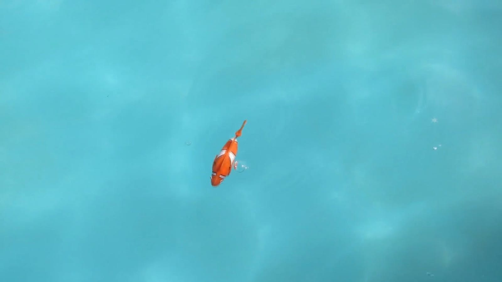 Small Videos, Download The BEST Free 4k Stock Video Footage & Small HD ...